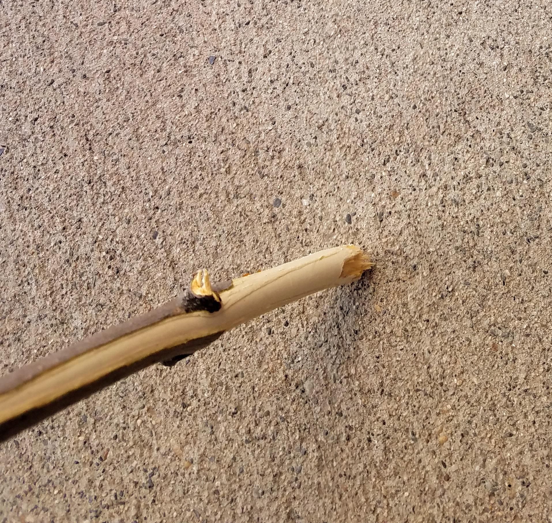 Complete Hobo Stove & Cooking Pots System Bundle, No Tools Build, for ...