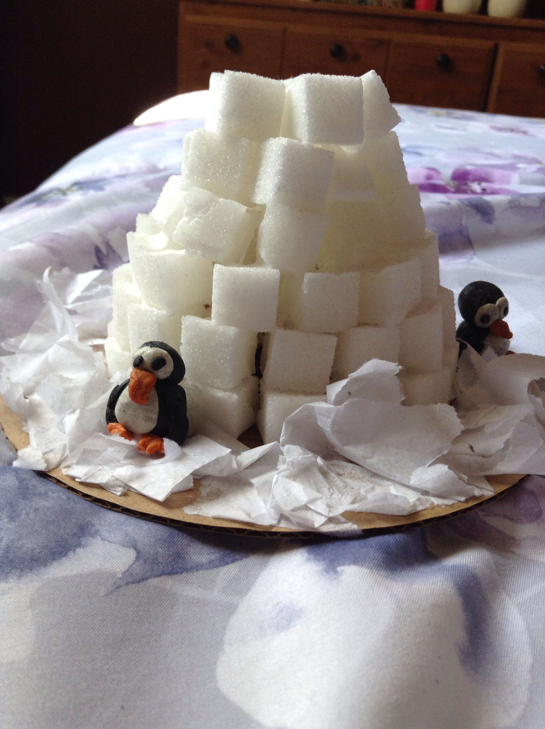 Diy Sugarcube Igloo : 6 Steps - Instructables