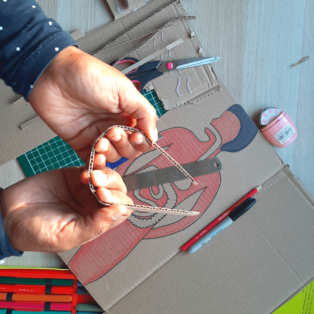 Interactive Digestive System : 9 Steps (with Pictures) - Instructables