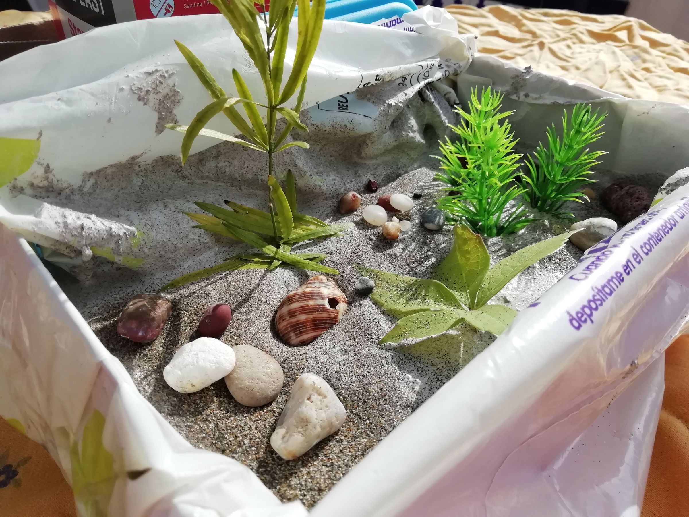 Excavation Kit (educational, DIY, for Kids) : 5 Steps (with Pictures ...