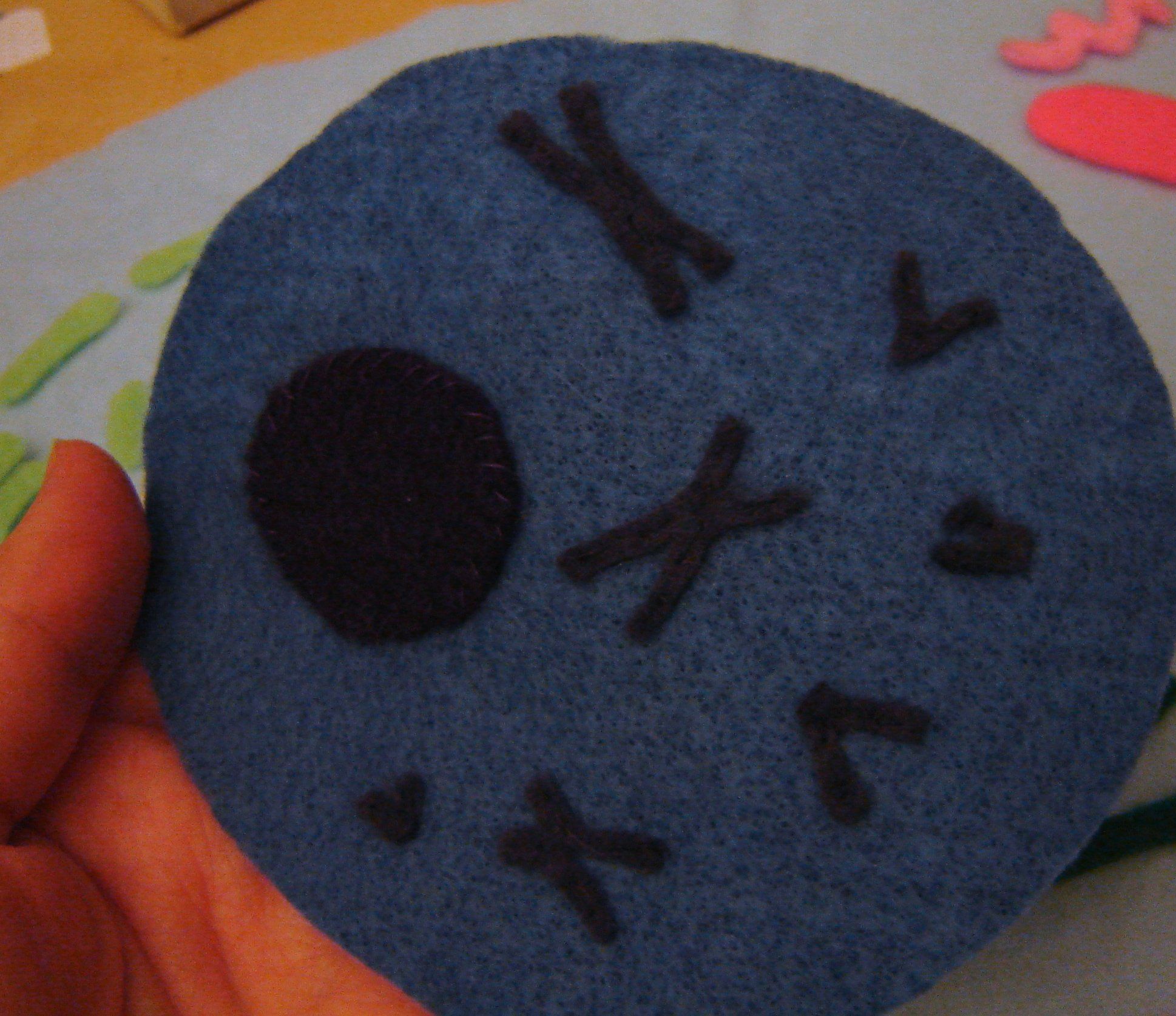 Plush Cell Model : 13 Steps (with Pictures) - Instructables