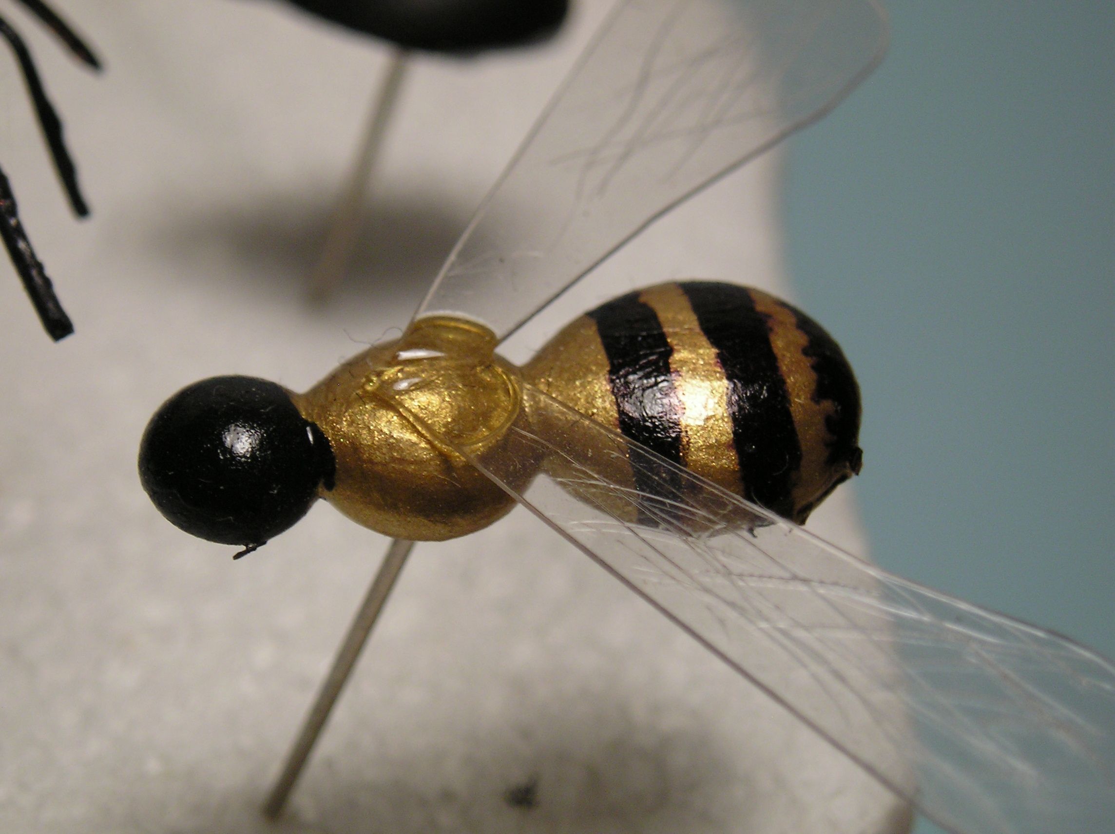 How to Make Glue Bugs : 9 Steps (with Pictures) - Instructables