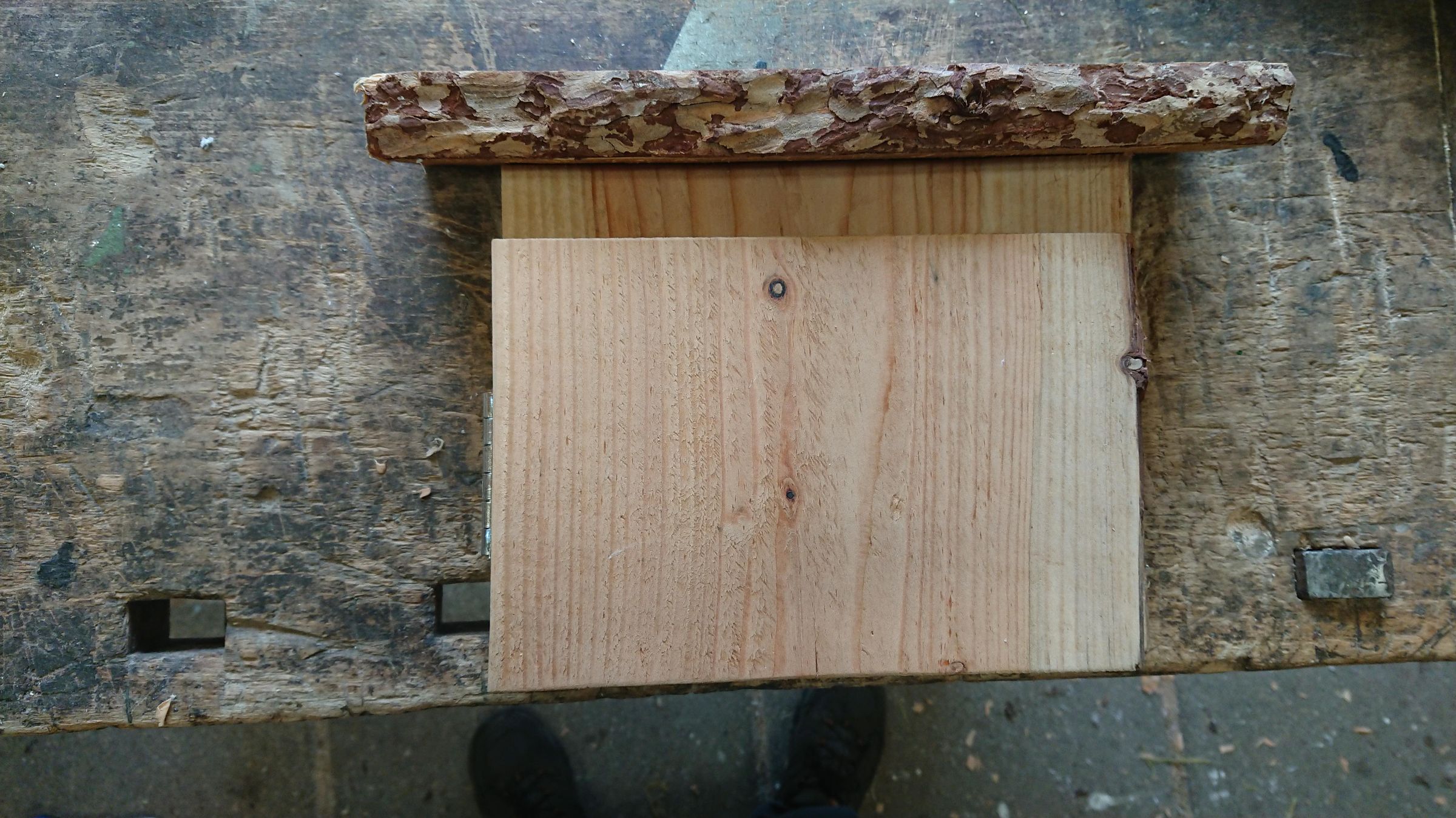 Bee Observatory : 4 Steps (with Pictures) - Instructables