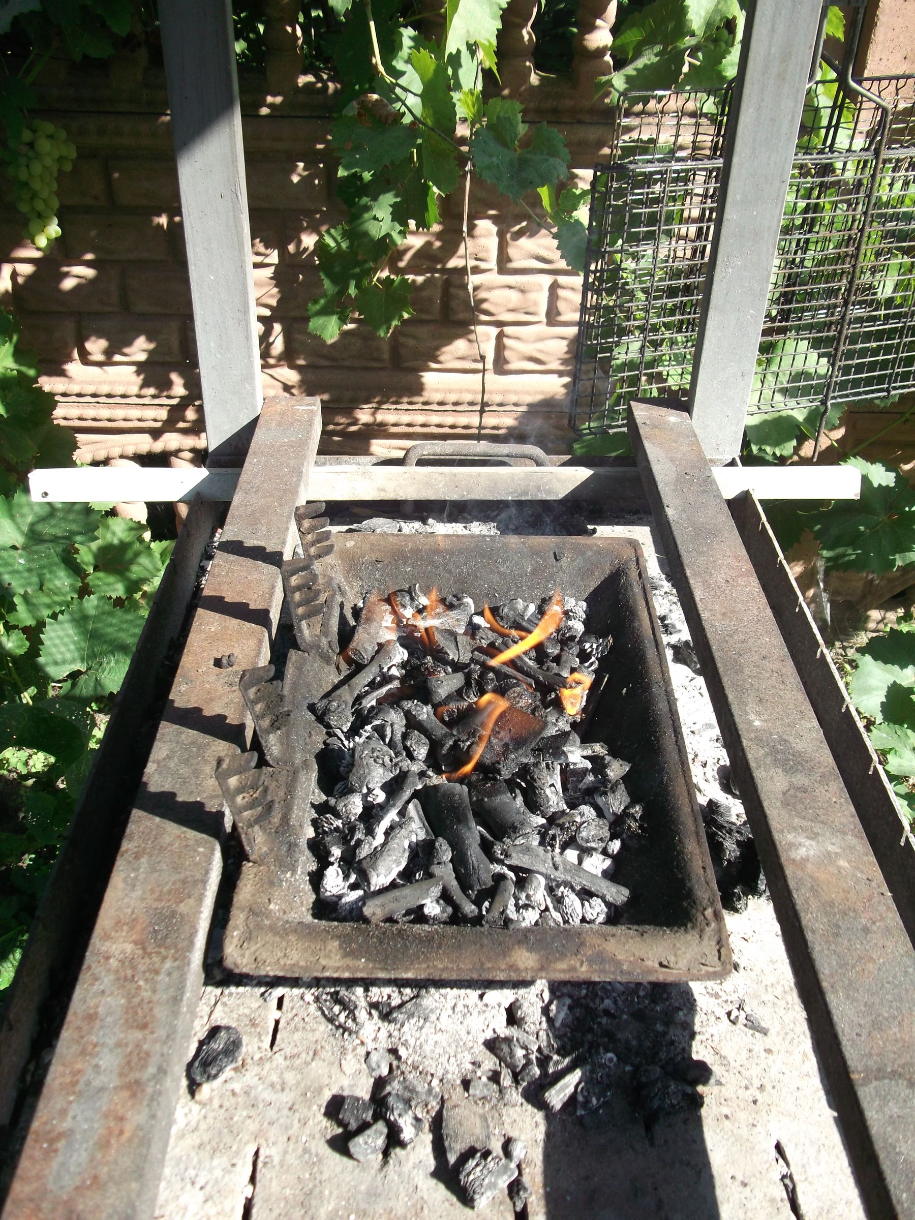 Processing Animal Bones for Composting (the Easy Way) : 7 Steps (with ...