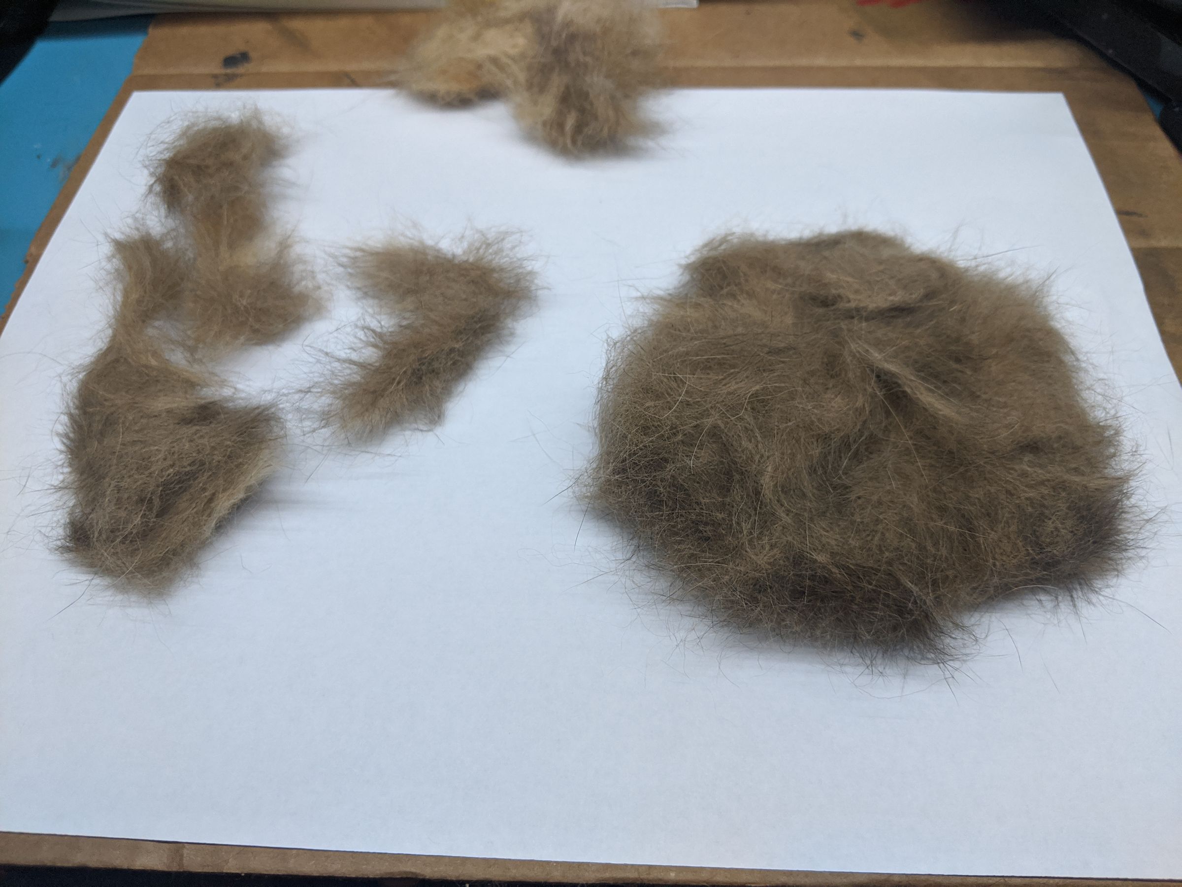 Felted Cat Fur Cat Hat : 3 Steps - Instructables