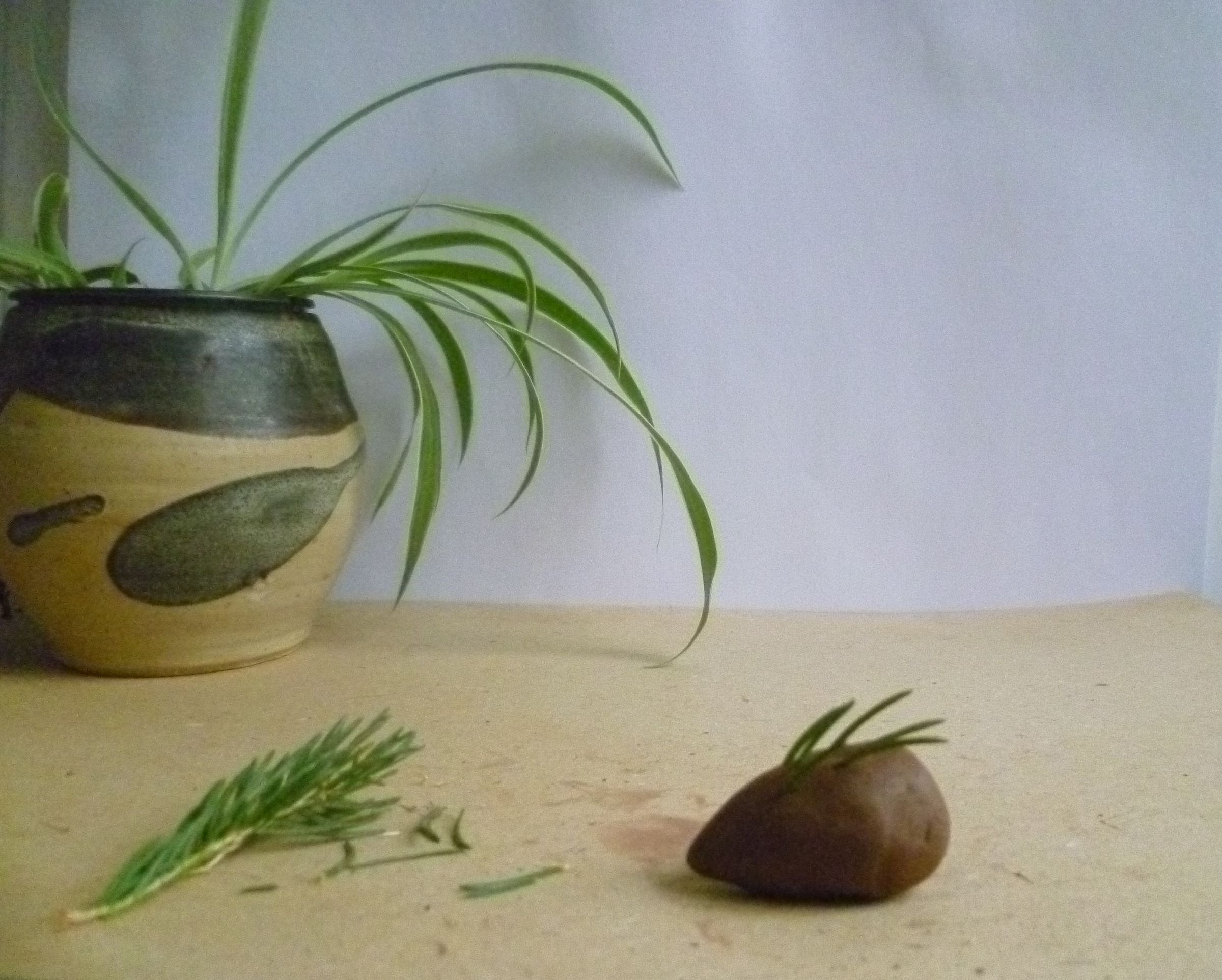 Clay Modelling - Woodland Creatures : 10 Steps (with Pictures ...