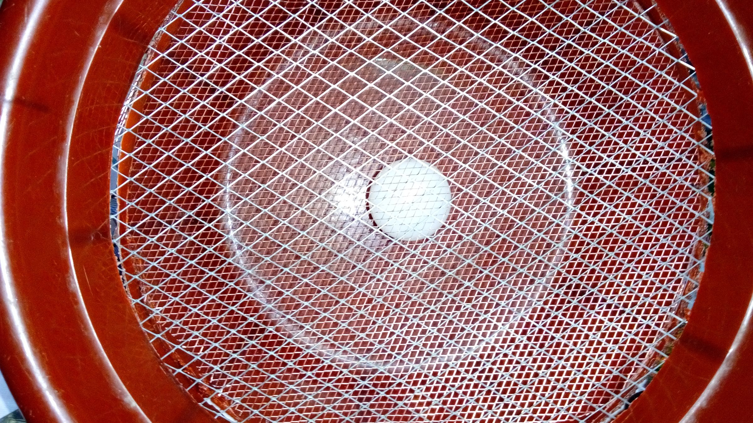 Bucket Fly Zapper : 10 Steps (with Pictures) - Instructables