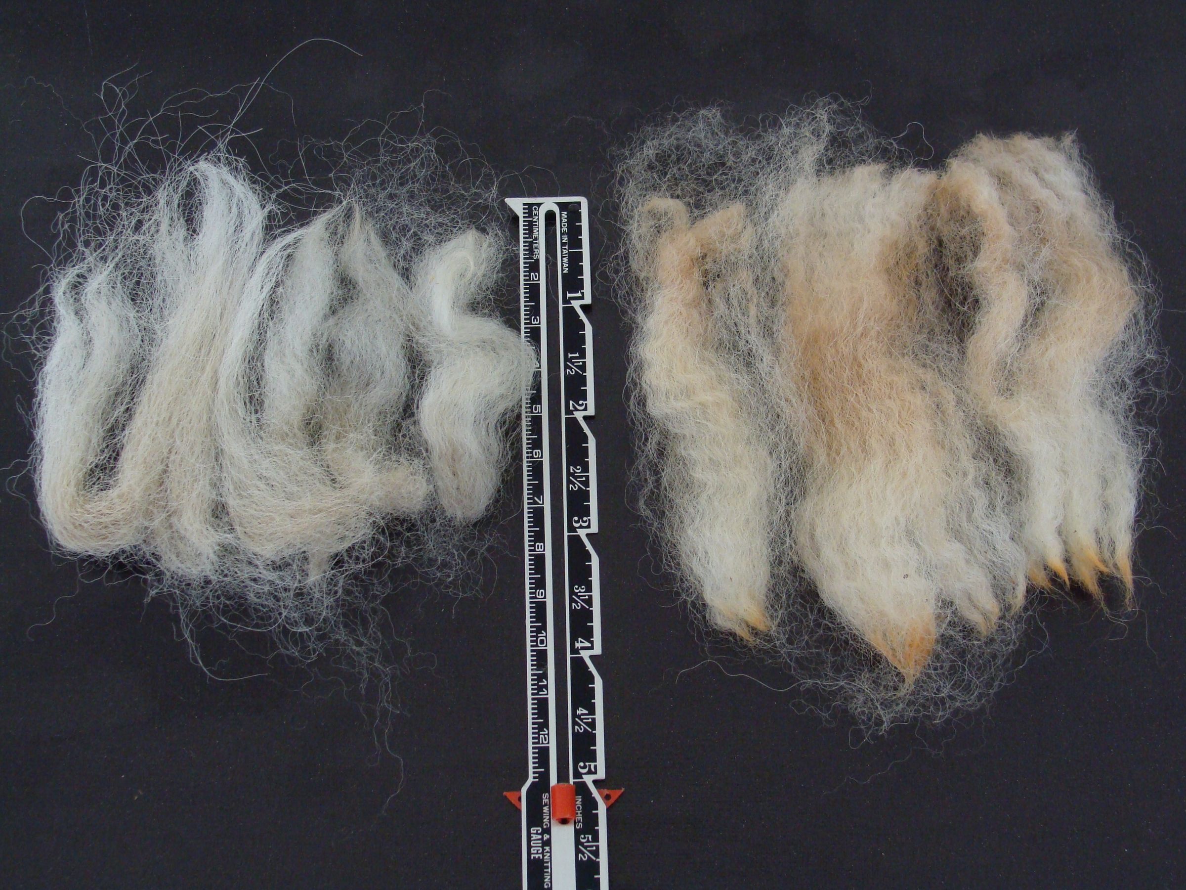 Alpaca Fleece . . . . Now What? : 10 Steps (with Pictures) - Instructables