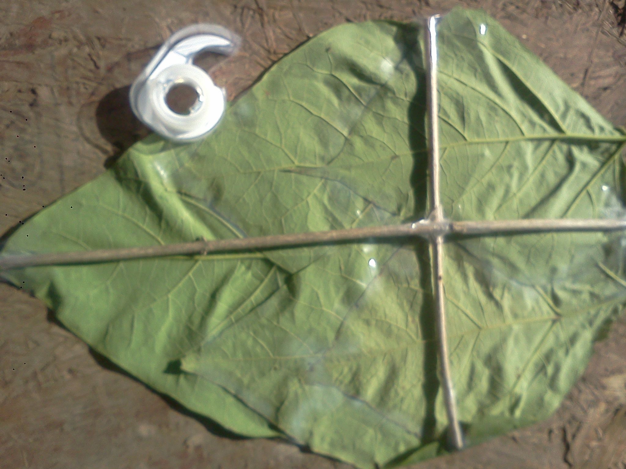 Leaf Kite : 5 Steps - Instructables