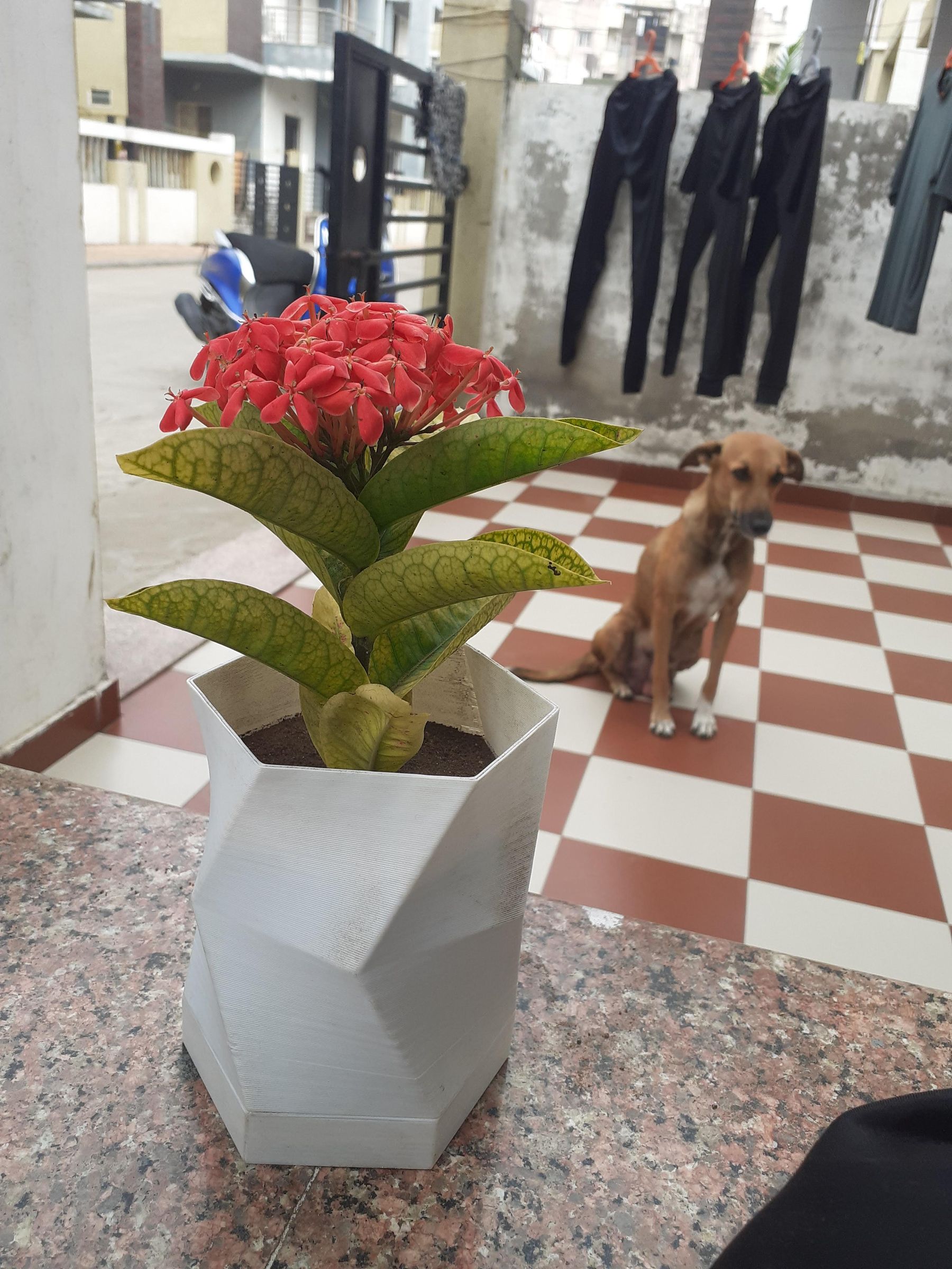 3D Printed Vase With Hidden Compartment : 4 Steps (with Pictures ...