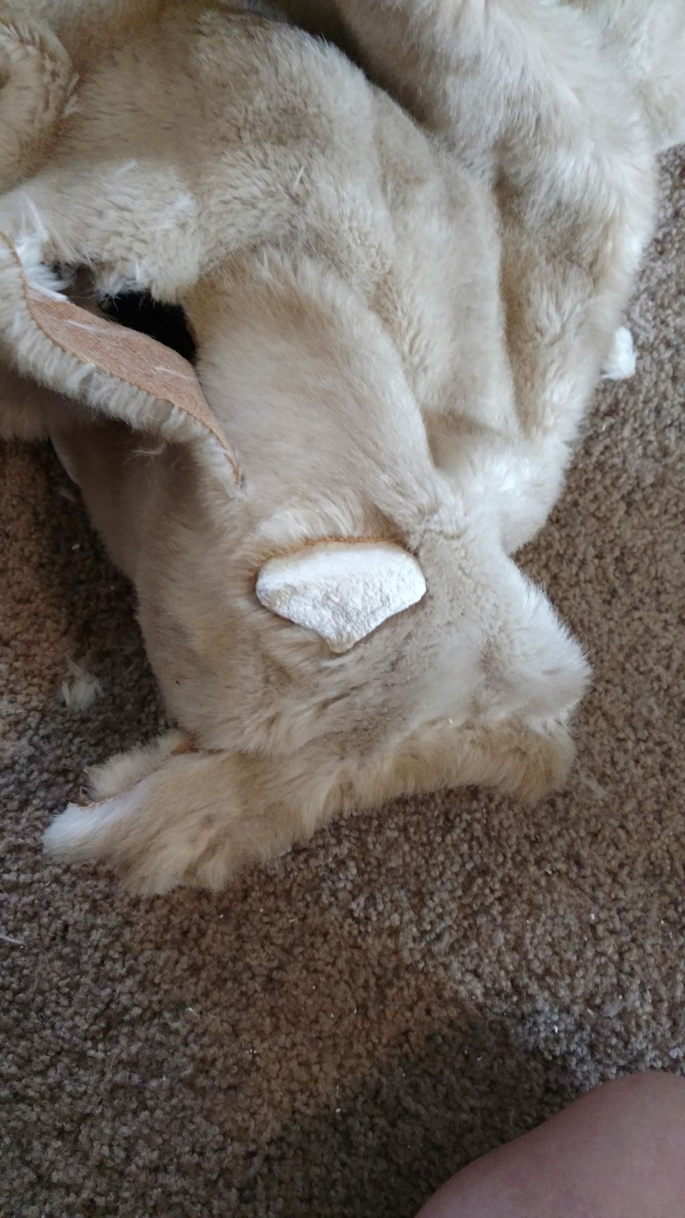 (How to Make a Fairy Tale Worthy) Big Bad Wolf Costume : 14 Steps (with ...