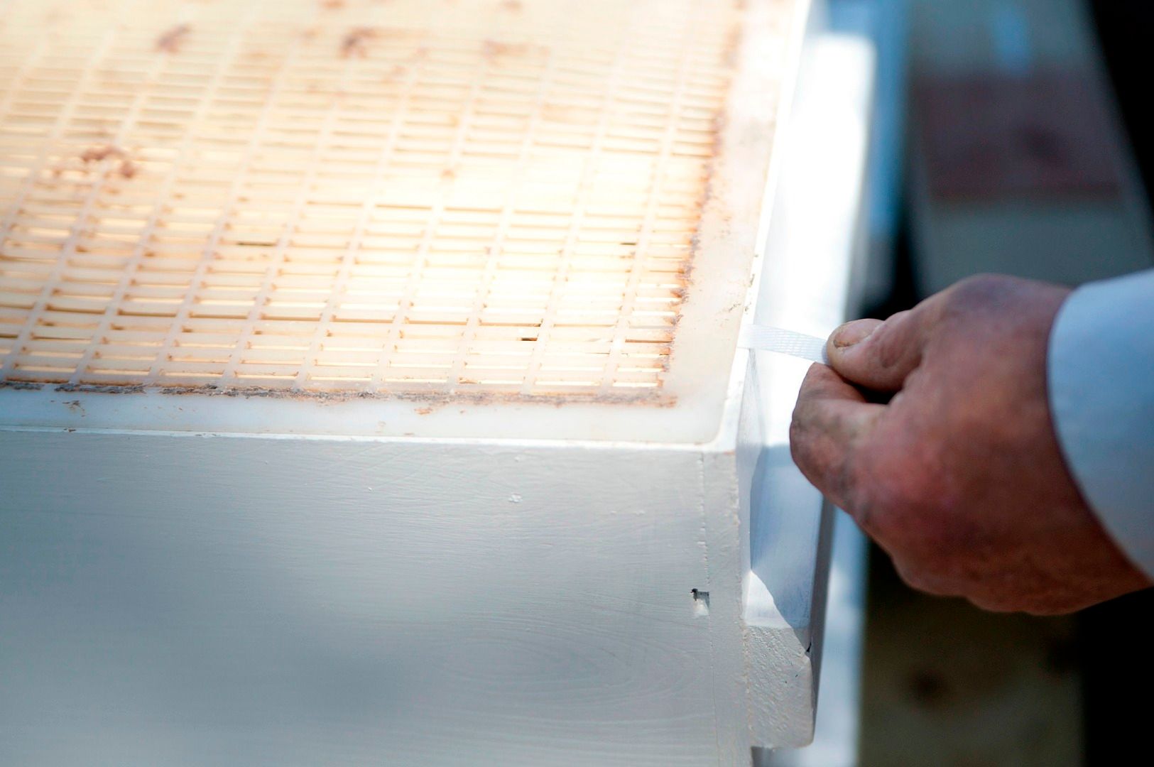 Start a Back Yard Honey Bee Hive : 10 Steps (with Pictures) - Instructables