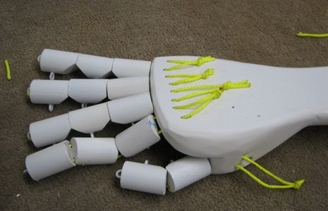 Science Fair - Articulated Hand