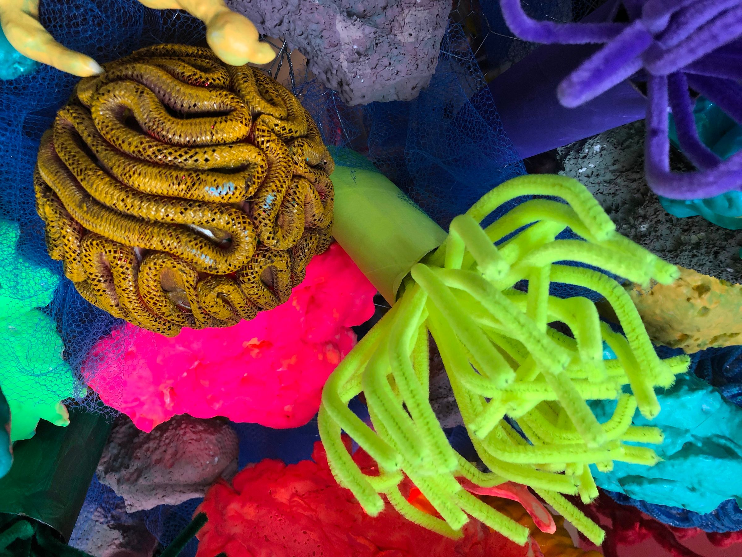 Coral Reef Costume : 7 Steps (with Pictures) - Instructables