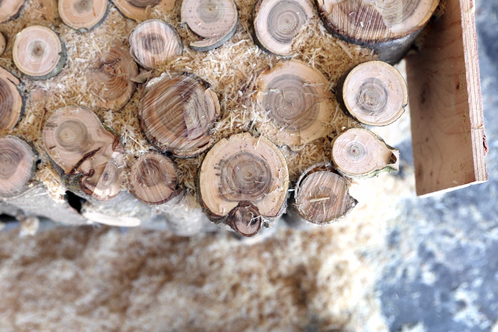 Log Table : 23 Steps (with Pictures) - Instructables