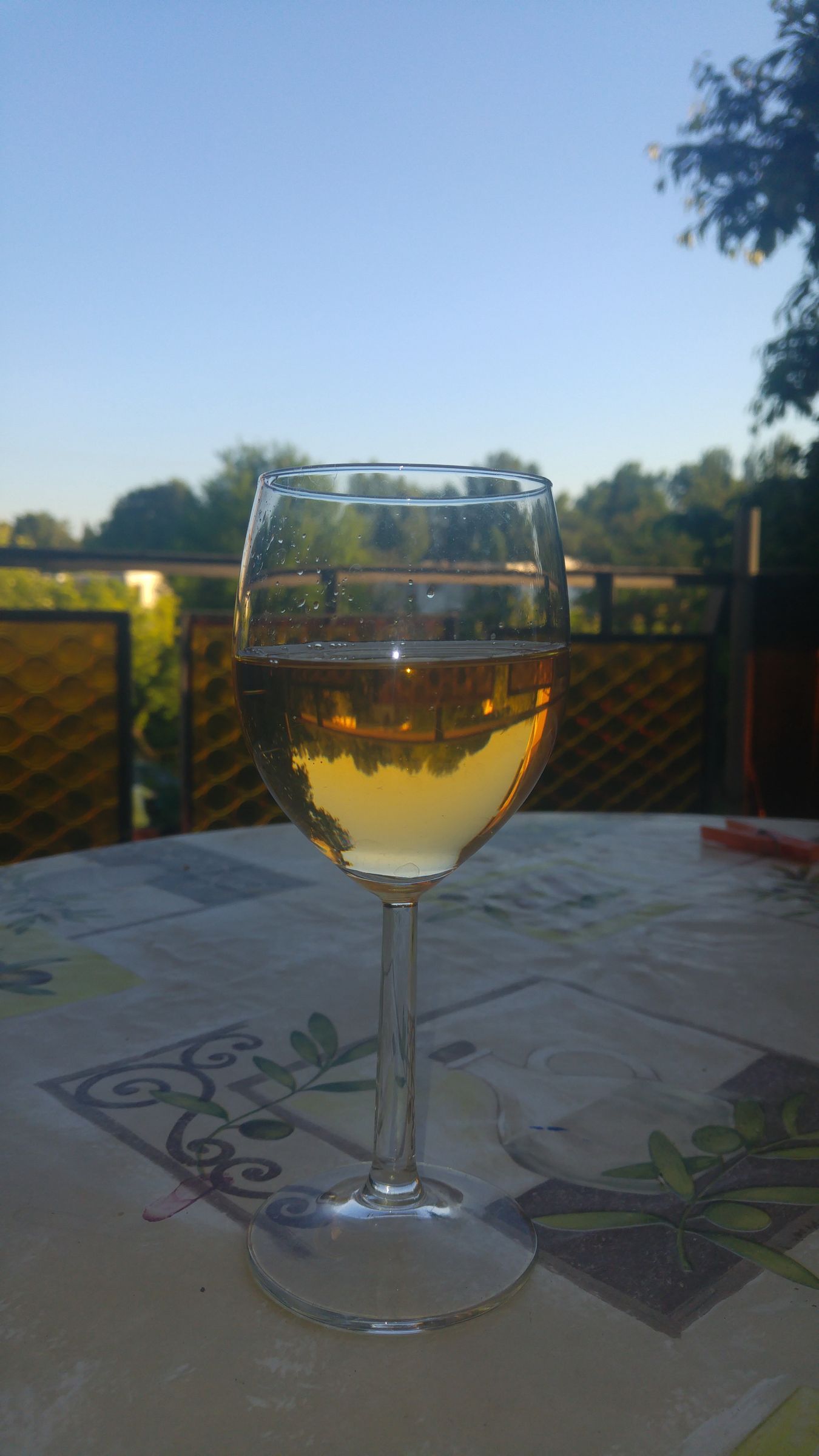 Home Made Apple Core Wine : 9 Steps (with Pictures) - Instructables