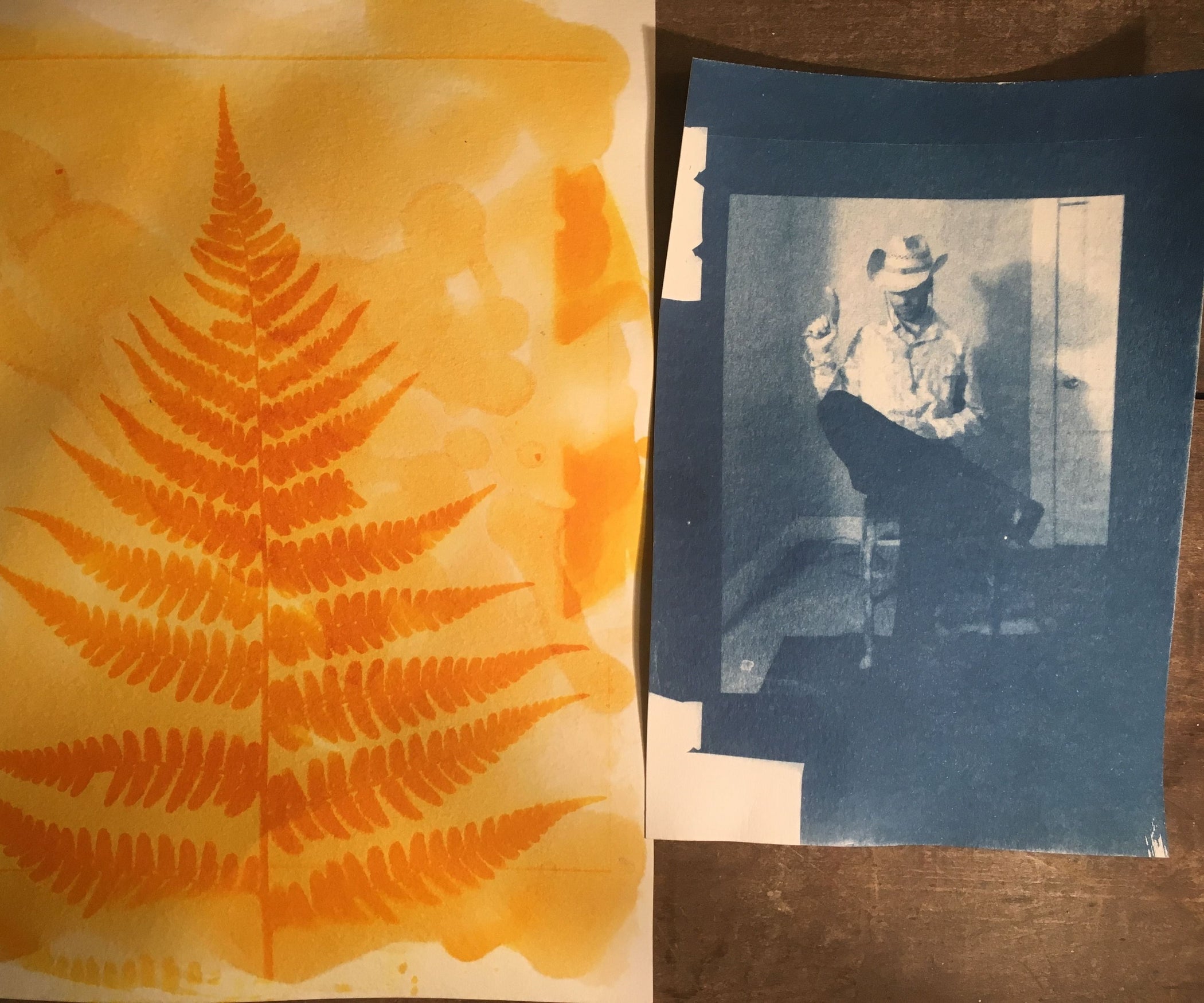 Alternative Photography: Anthotype & Cyanotype : 5 Steps (with Pictures ...