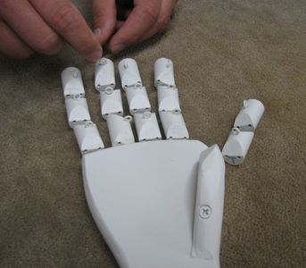 Science Fair - Articulated Hand