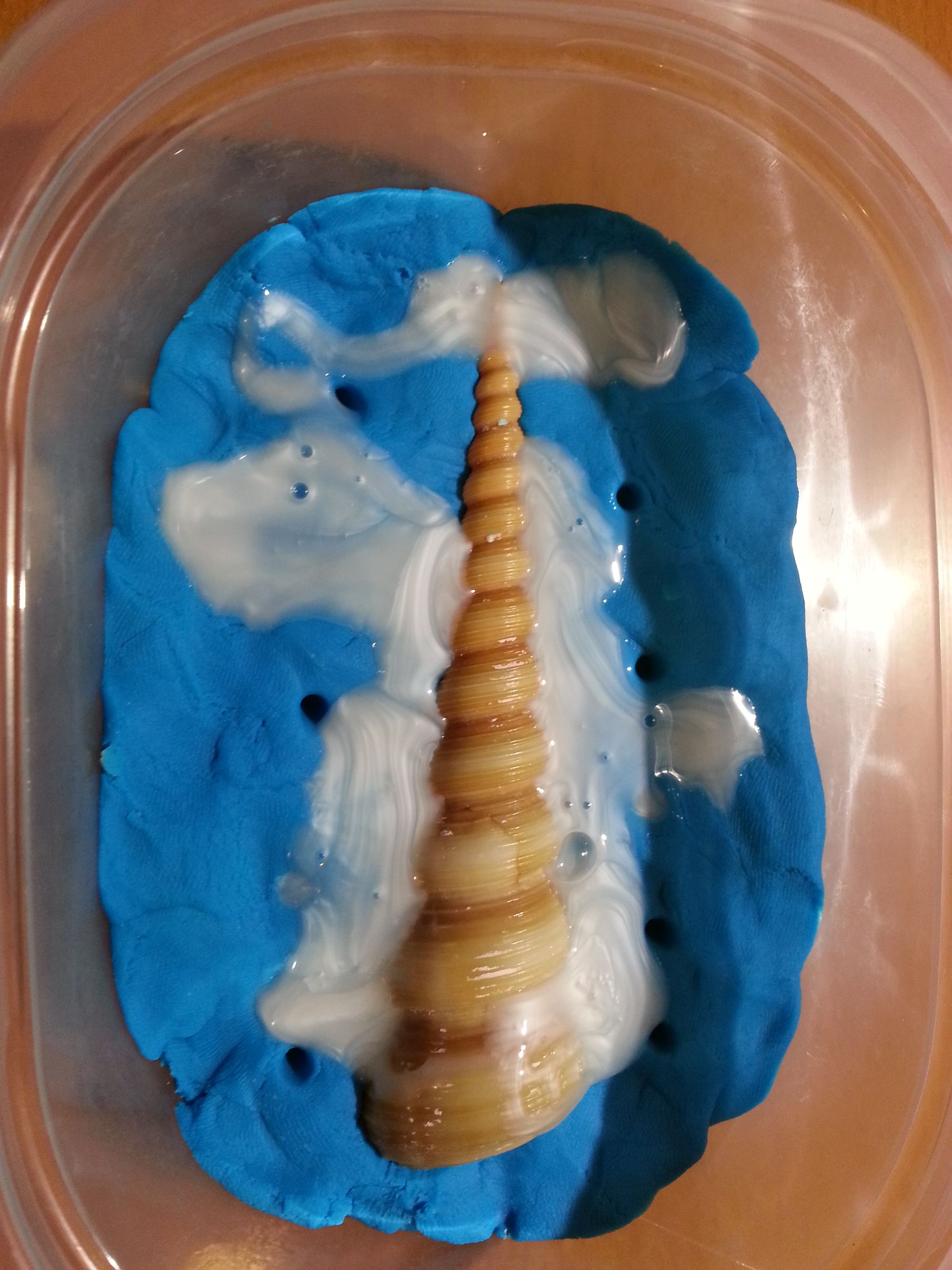 Make a Two Part Reusable Mold Using Plaster : 9 Steps - Instructables