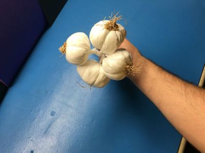 How to Make Fake Garlic With Plastic Bags : 6 Steps (with Pictures ...