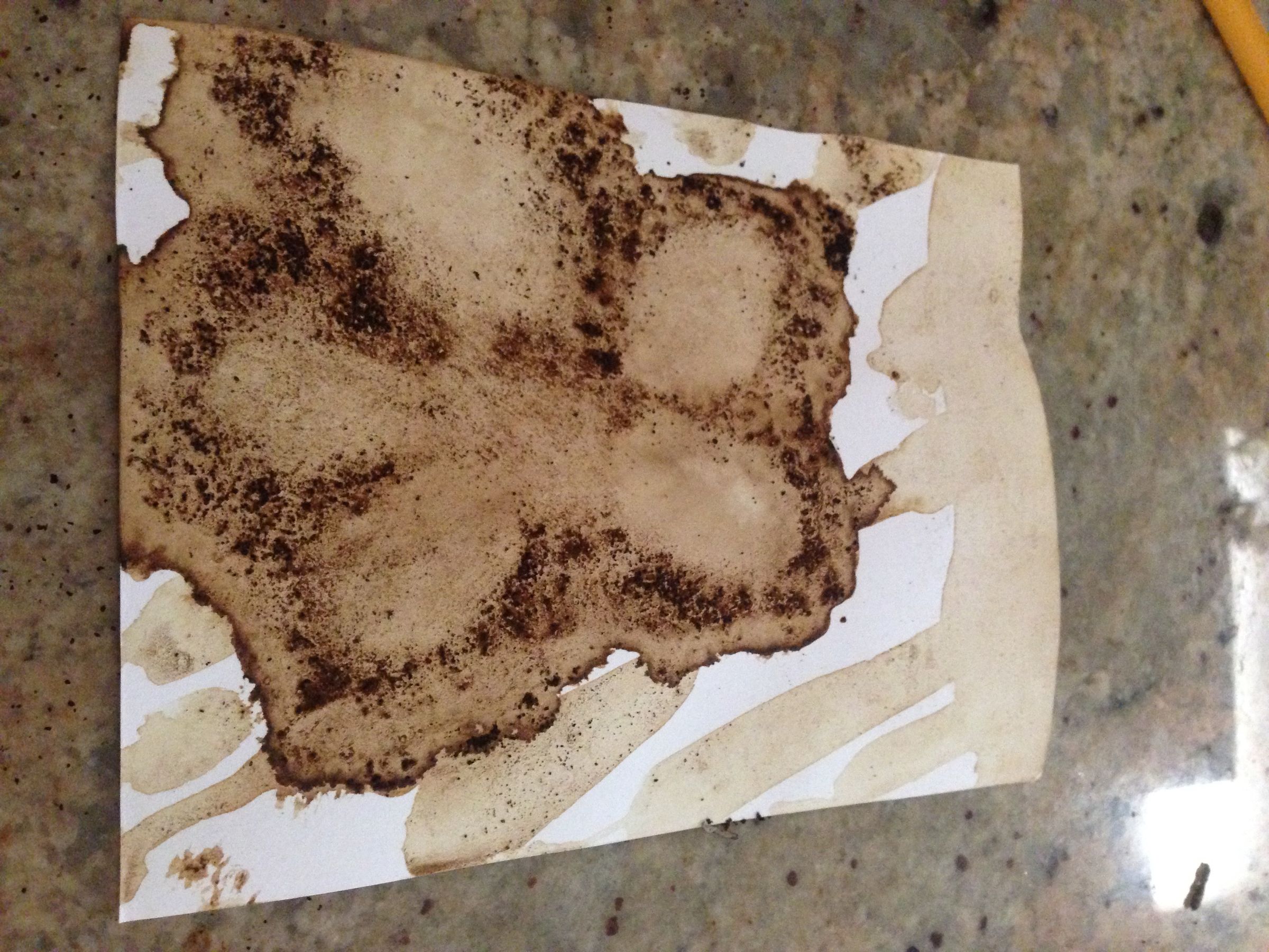 Painting With Coffee : 3 Steps (with Pictures) - Instructables