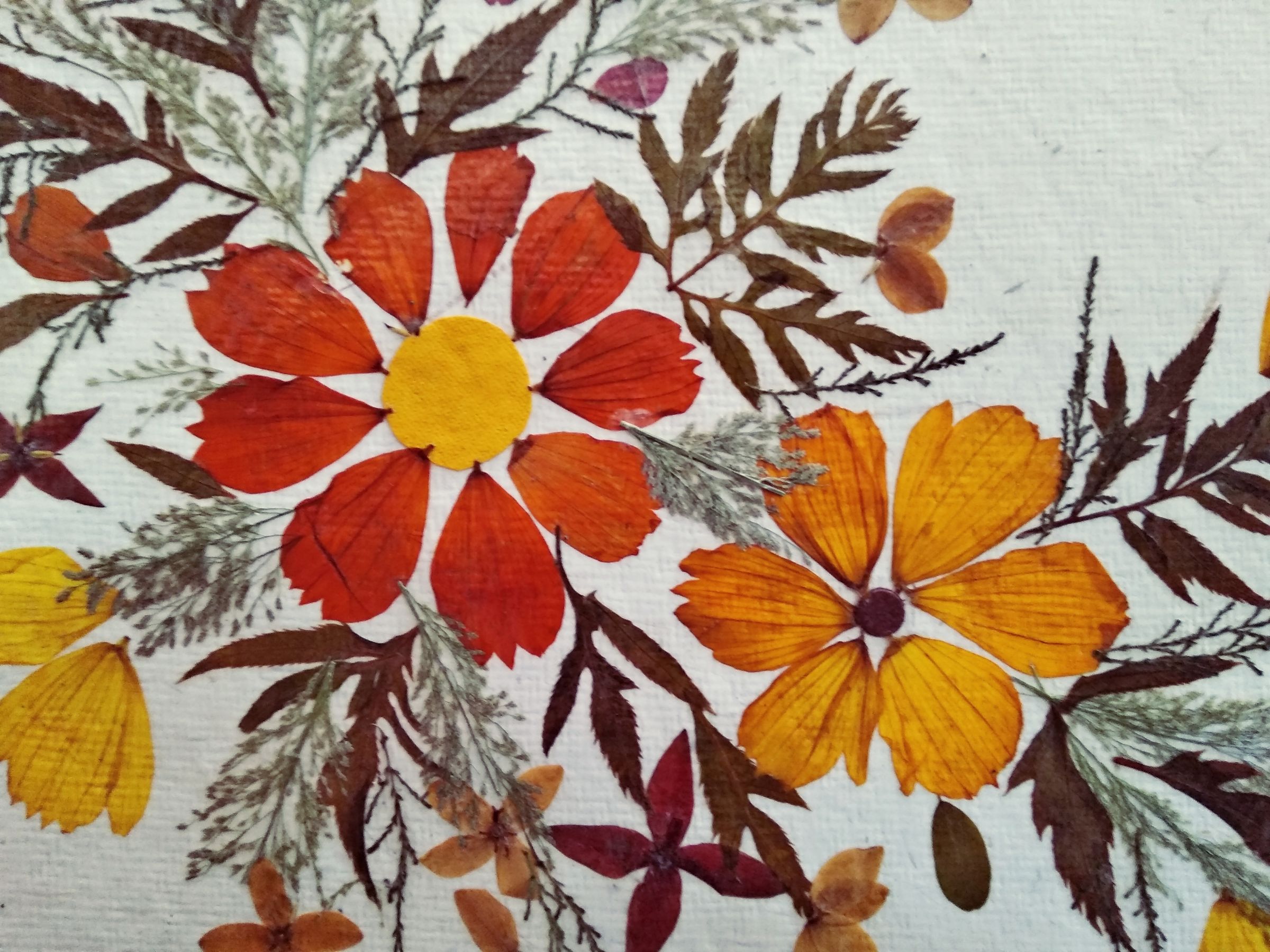 Dry Flower Art : 4 Steps (with Pictures) - Instructables