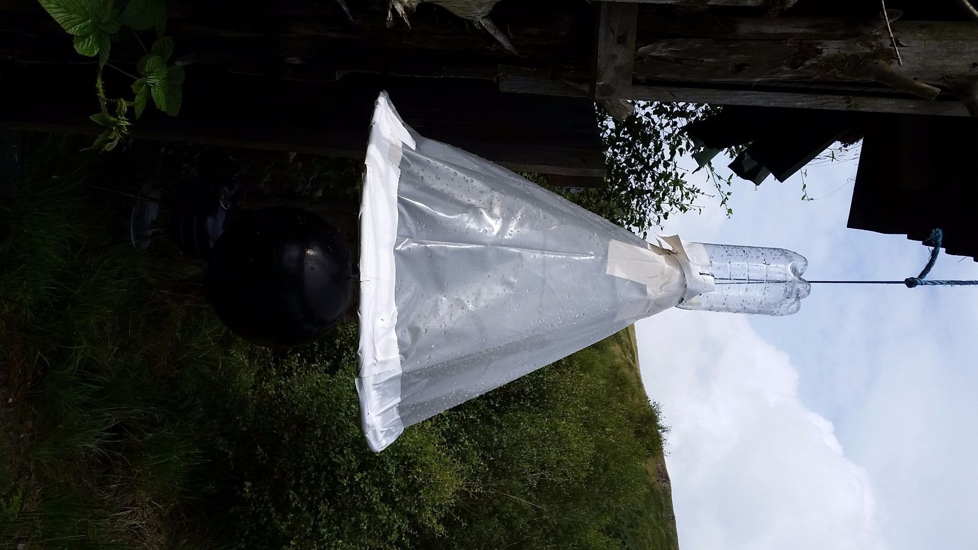 Horse Fly Trap : 3 Steps - Instructables