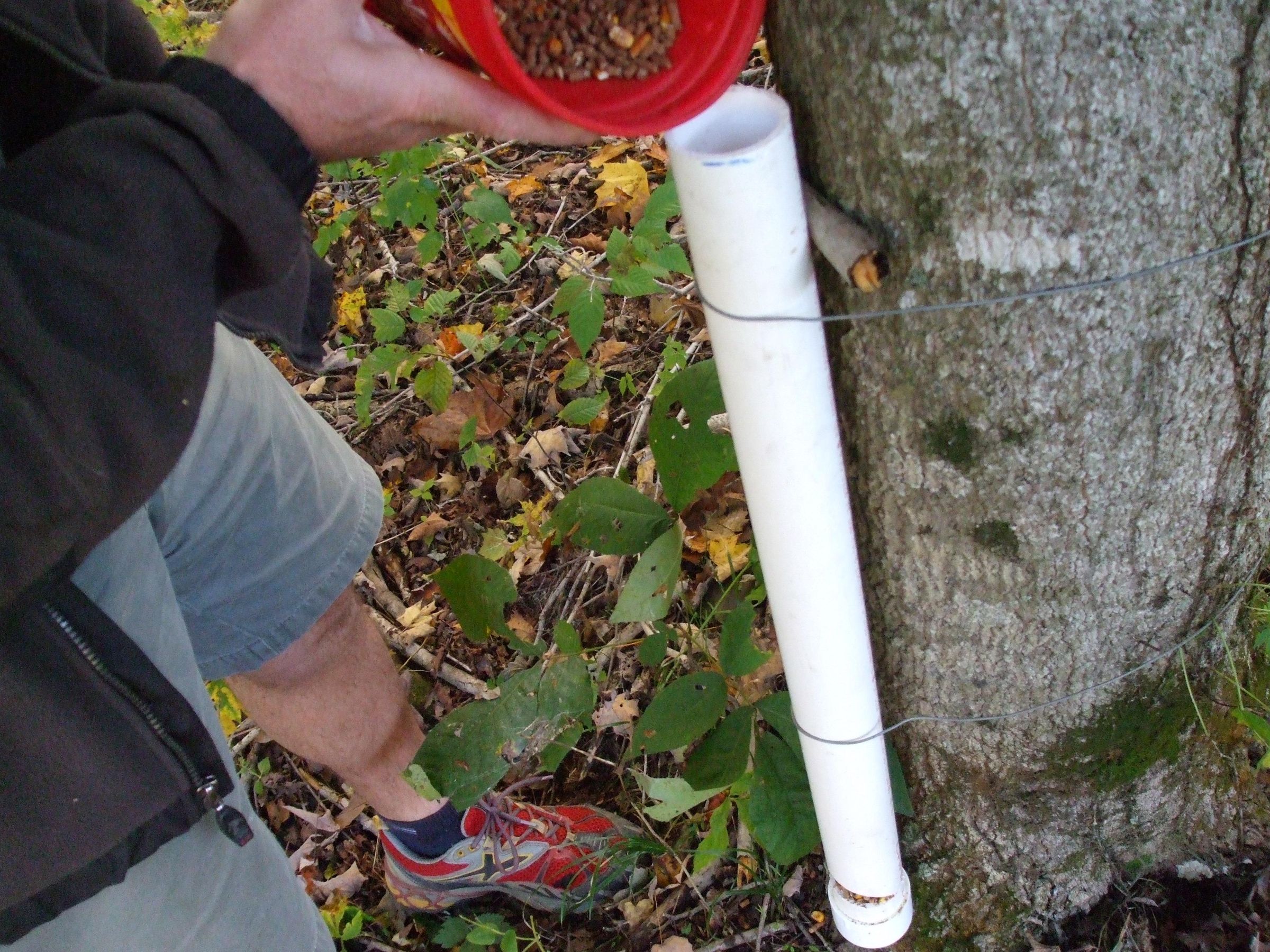 Make a Deer Feeder : 6 Steps - Instructables