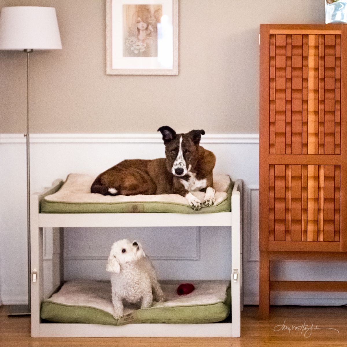 DIY Dog Bunk Beds : 8 Steps (with Pictures) - Instructables