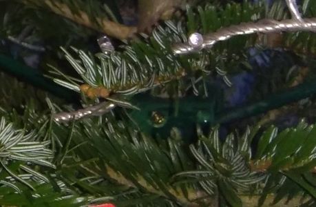 Train in a Christmas Tree : 4 Steps (with Pictures) - Instructables