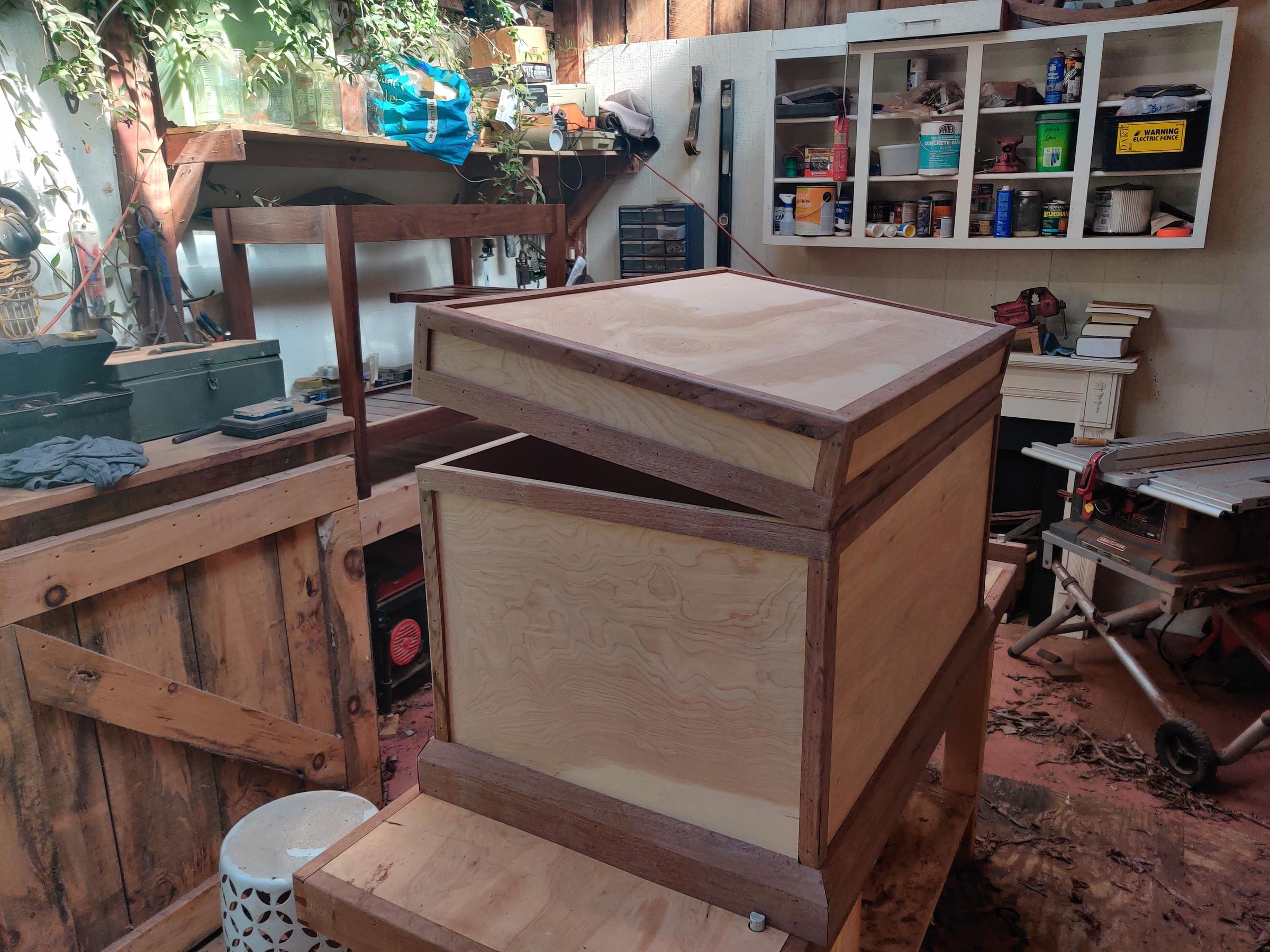 No-waste Plywood Trunk With Lid Storage and Walnut Trim : 16 Steps ...