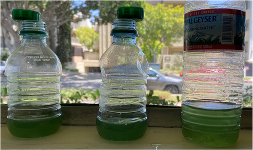 DIY Proof-of-concept Spirulina Photobioreactor to Reduce CO2 Emissions ...