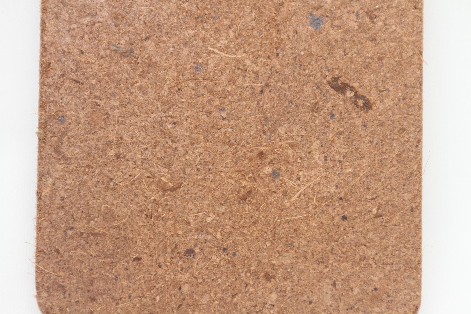 31 Unusual Uses for Coconuts : 31 Steps (with Pictures) - Instructables