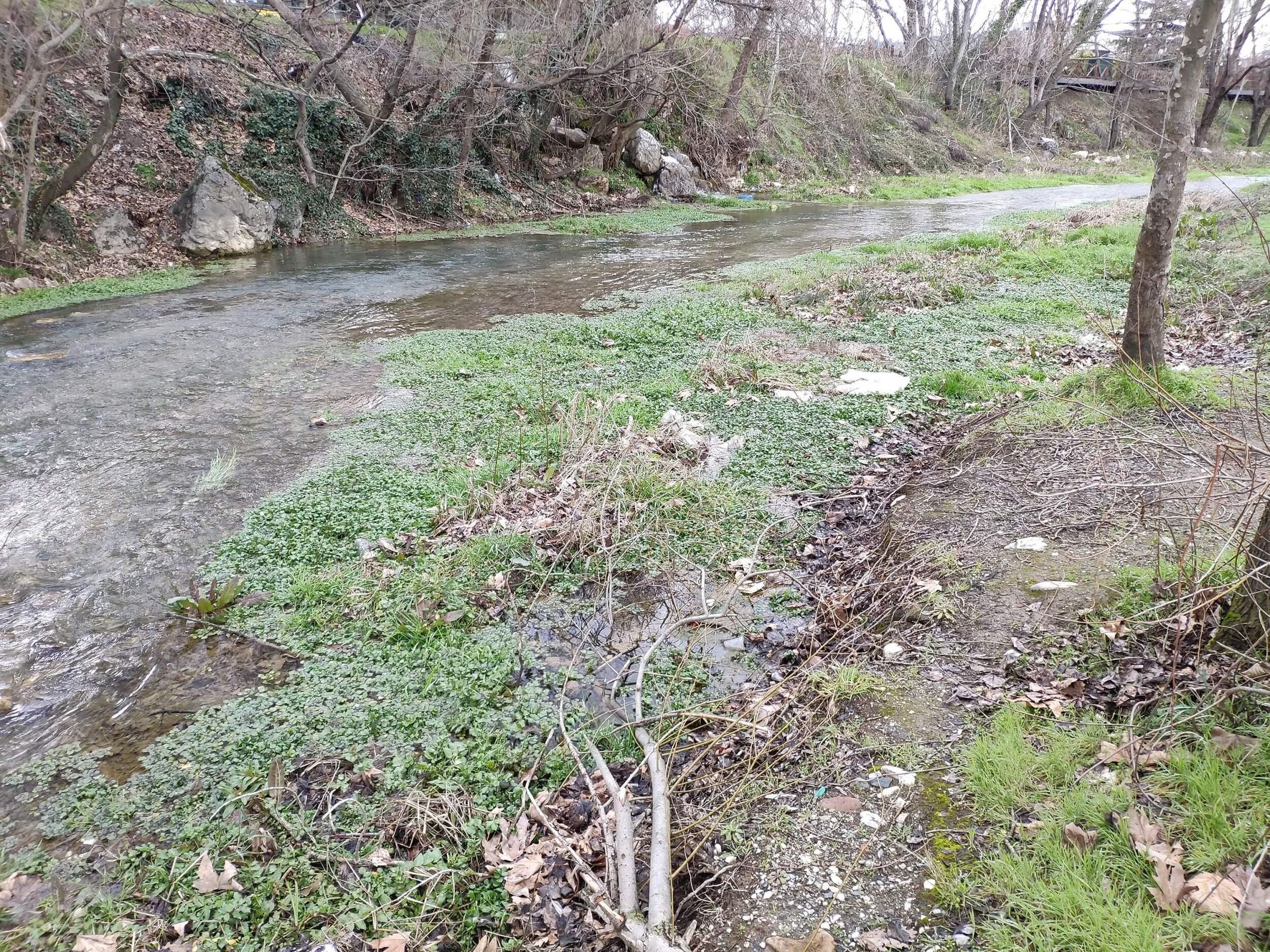 GSM & SMS Enabled AI-driven (TinyML) Water Pollution Monitor : 19 Steps ...