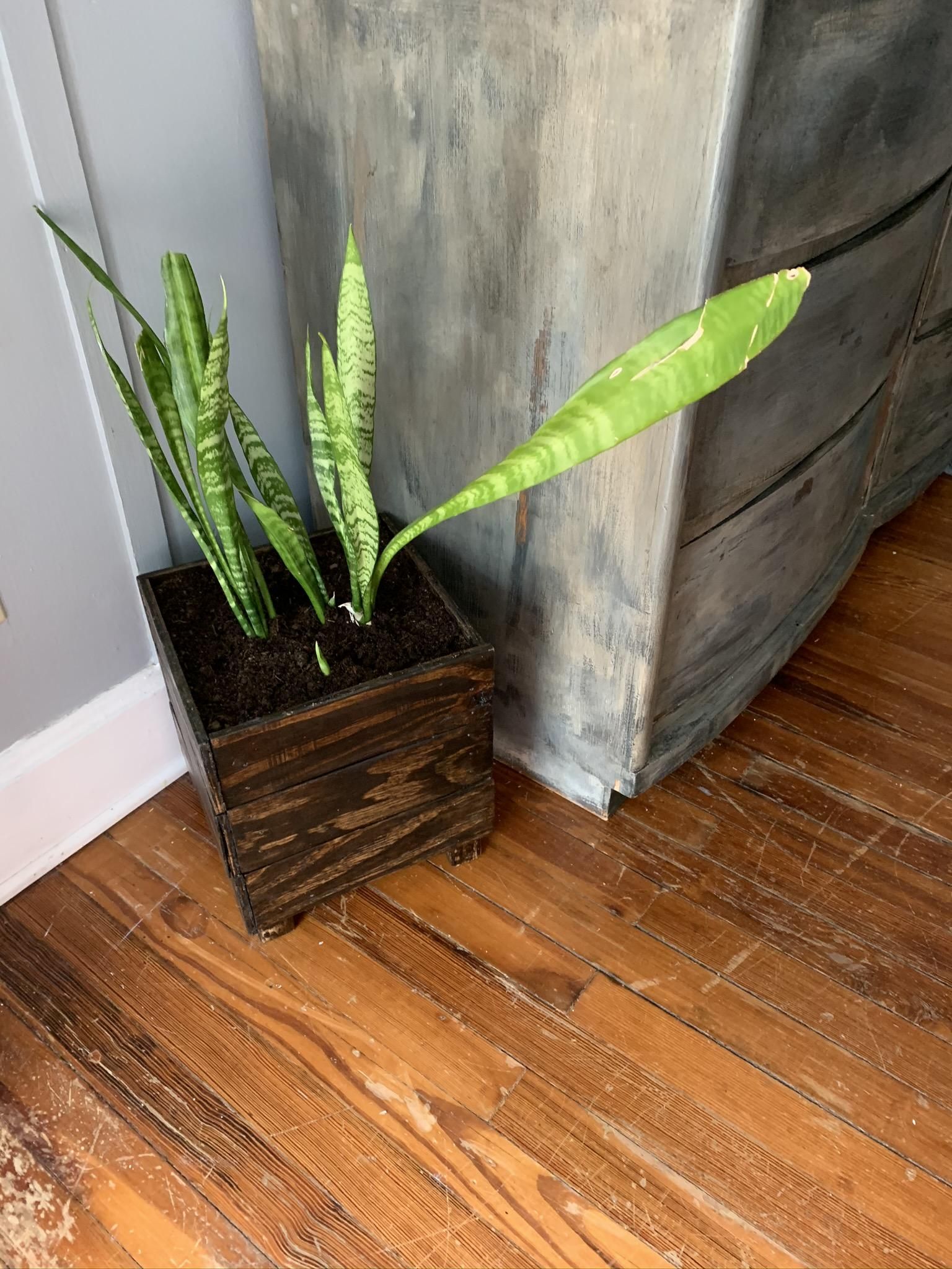 Secret Drawer Wood Planter : 10 Steps (with Pictures) - Instructables