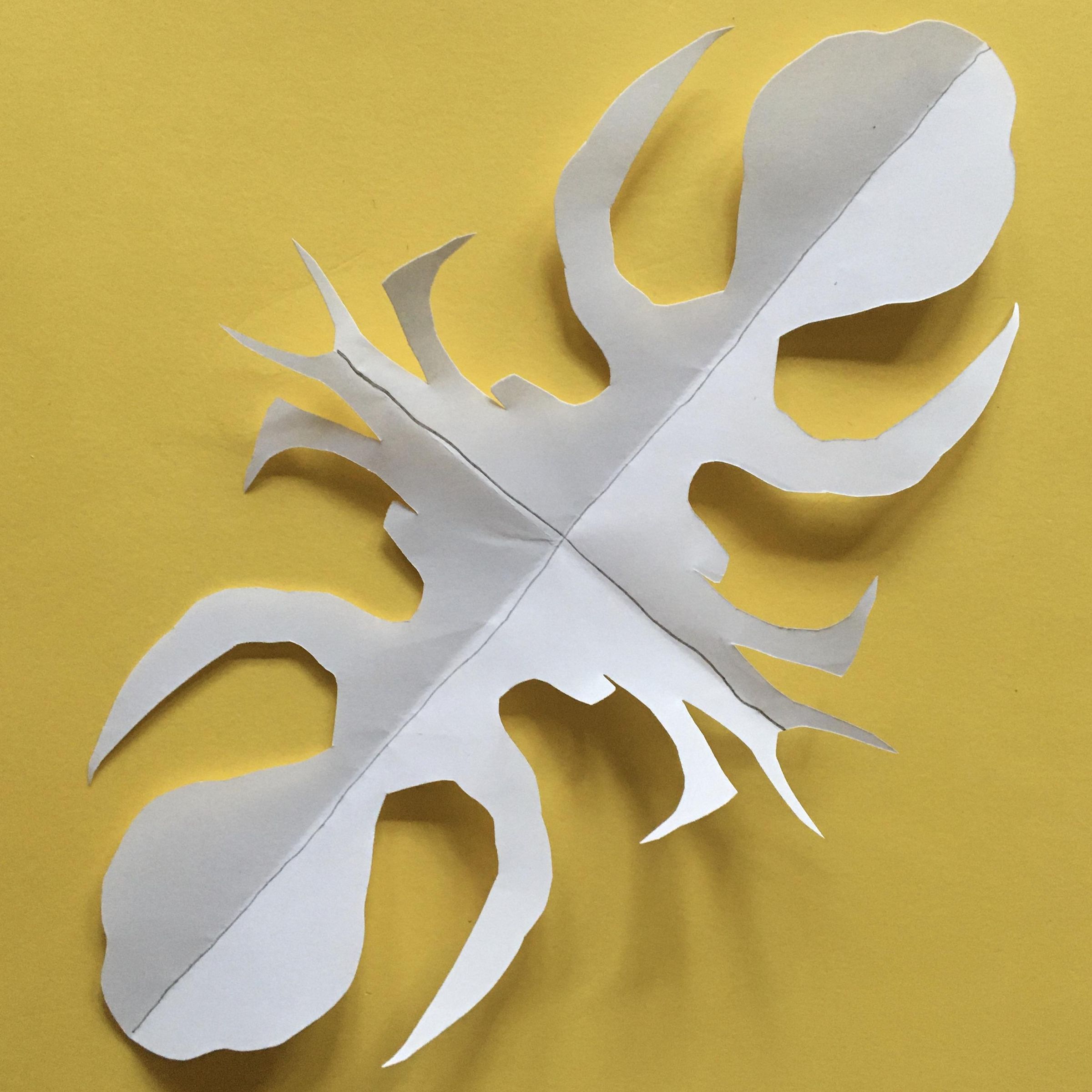 Mirrors, Paper Cutting, and Symmetry : 8 Steps (with Pictures ...