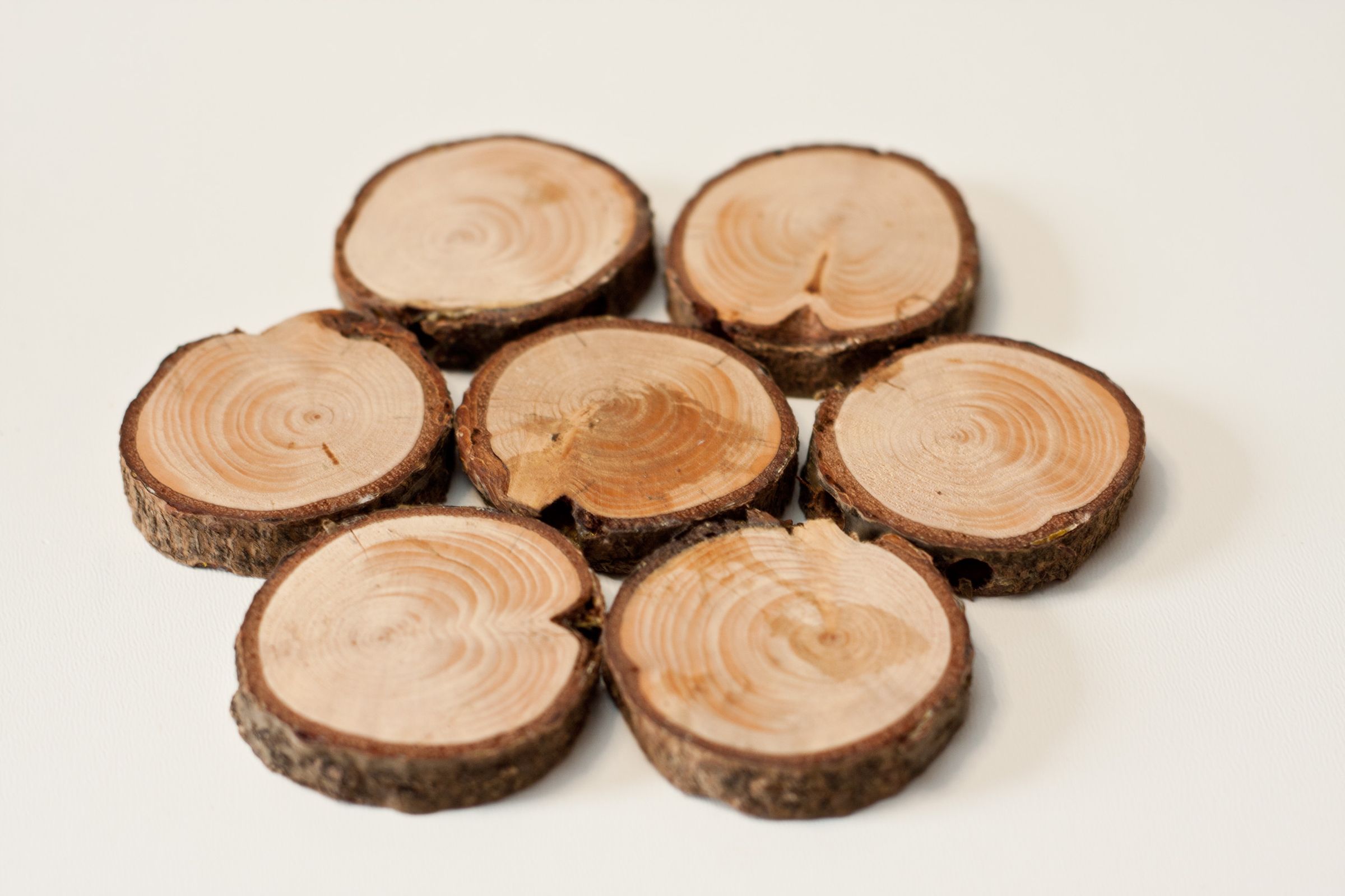 Wooden Branch Trivet : 10 Steps (with Pictures) - Instructables