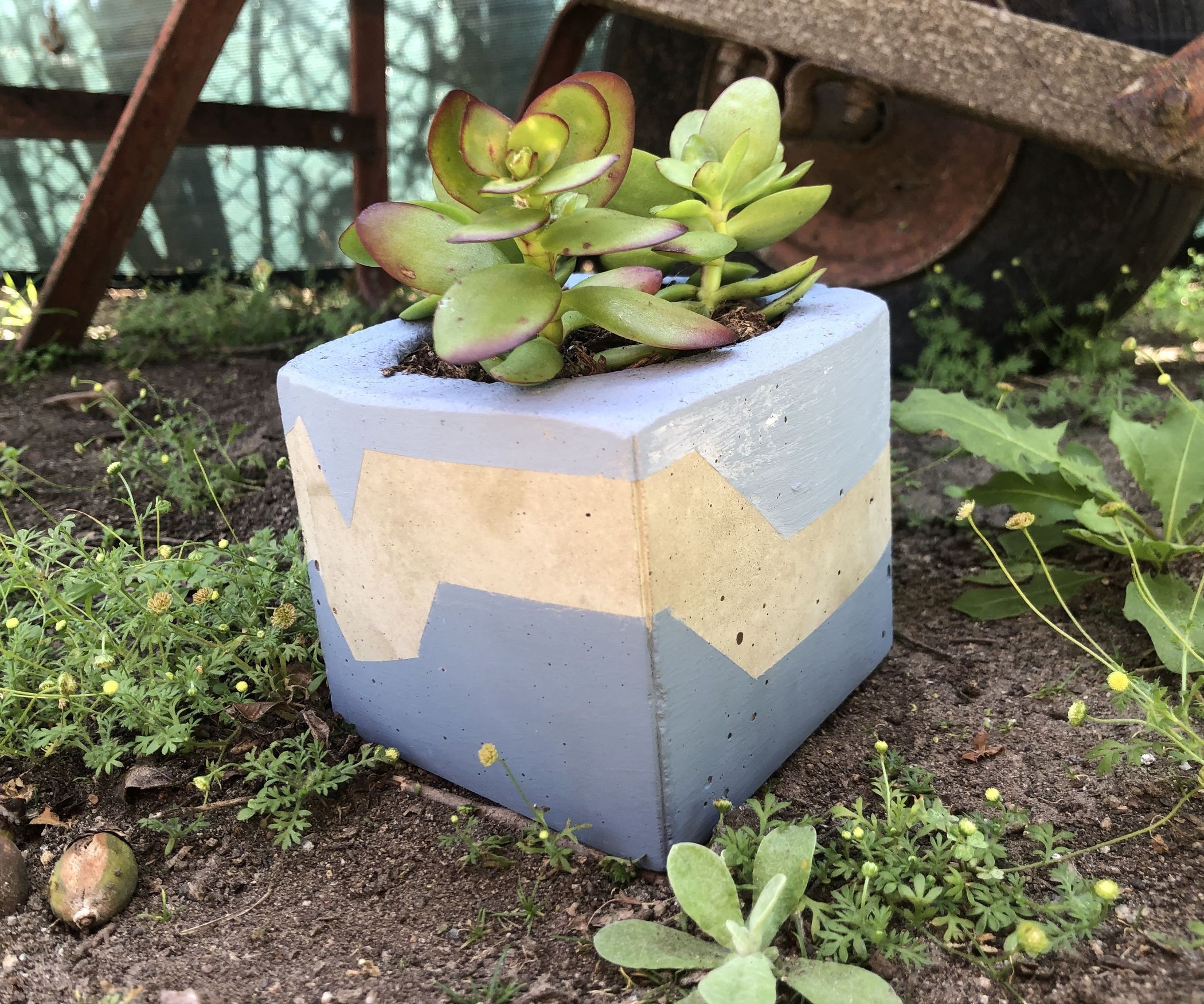Cheap and Stylish DIY Concrete Pots : 9 Steps (with Pictures ...