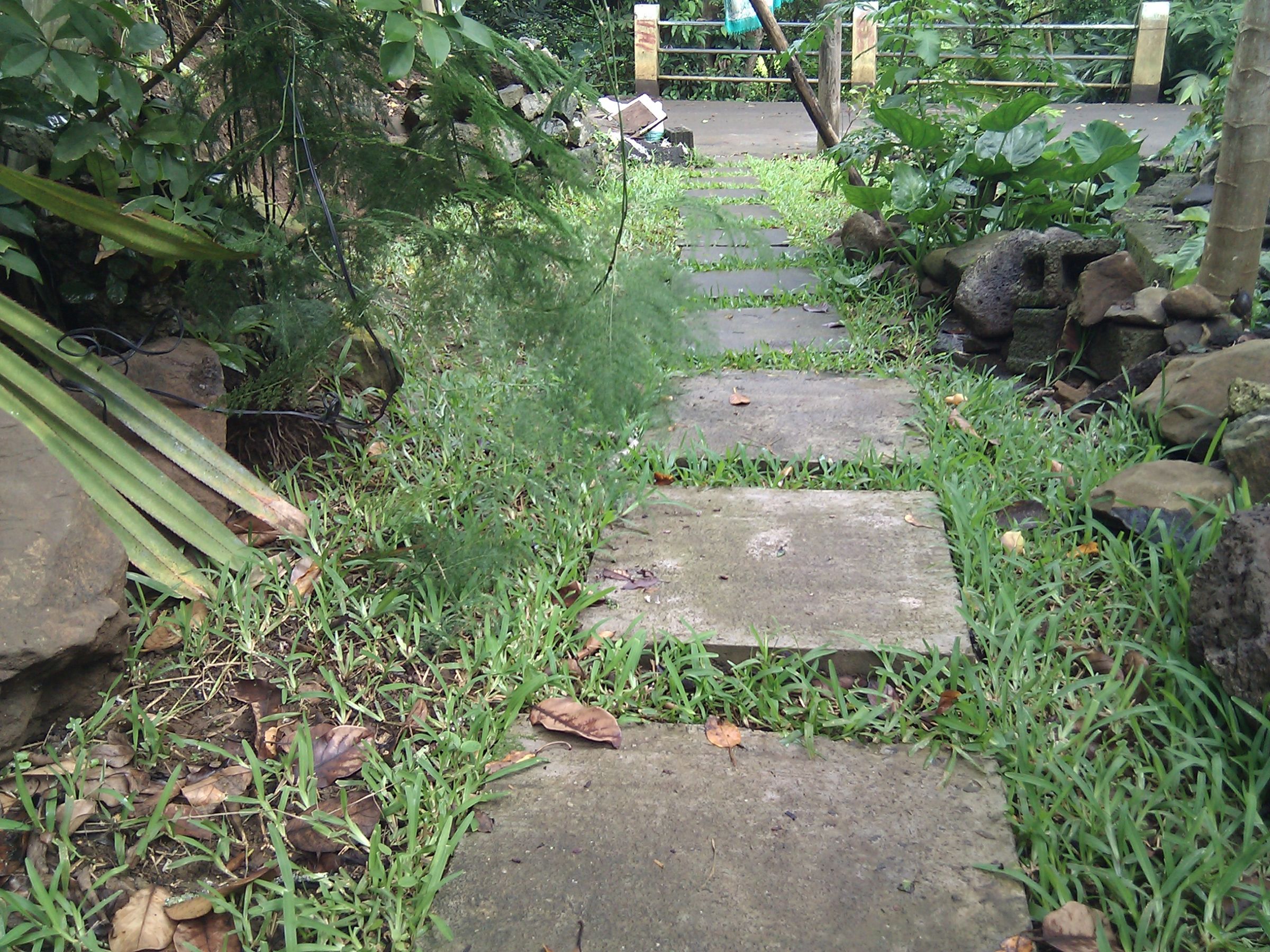 How to Build Slabs and Lay Path/patio/walkway : 4 Steps (with Pictures ...