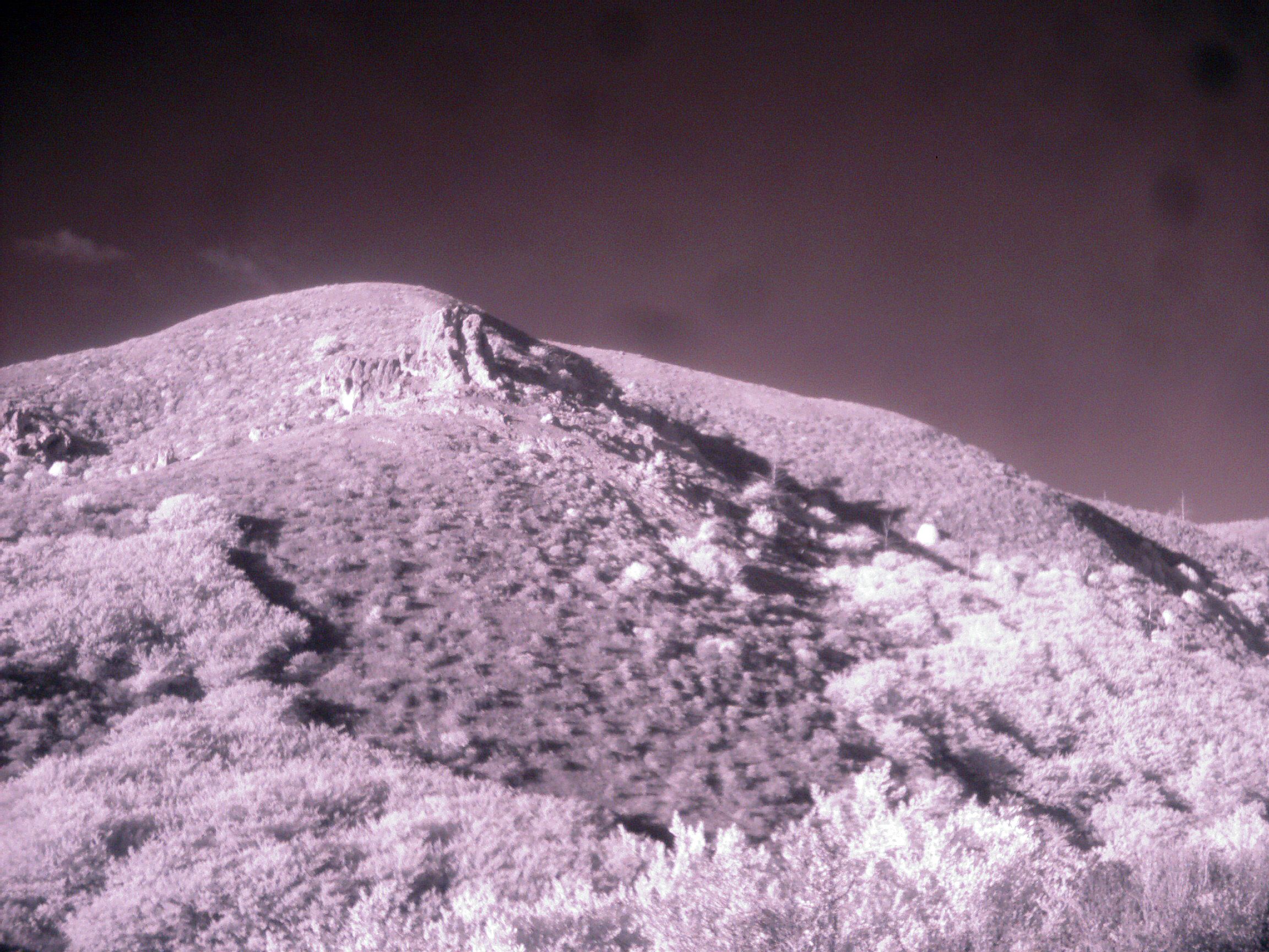 Infrared Digital Camera - the Real Way : 8 Steps (with Pictures ...