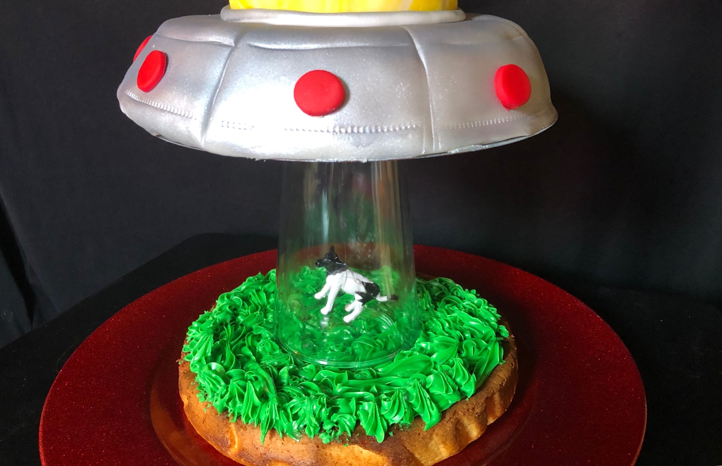 UFO Cow Abduction Cake : 10 Steps (with Pictures) - Instructables