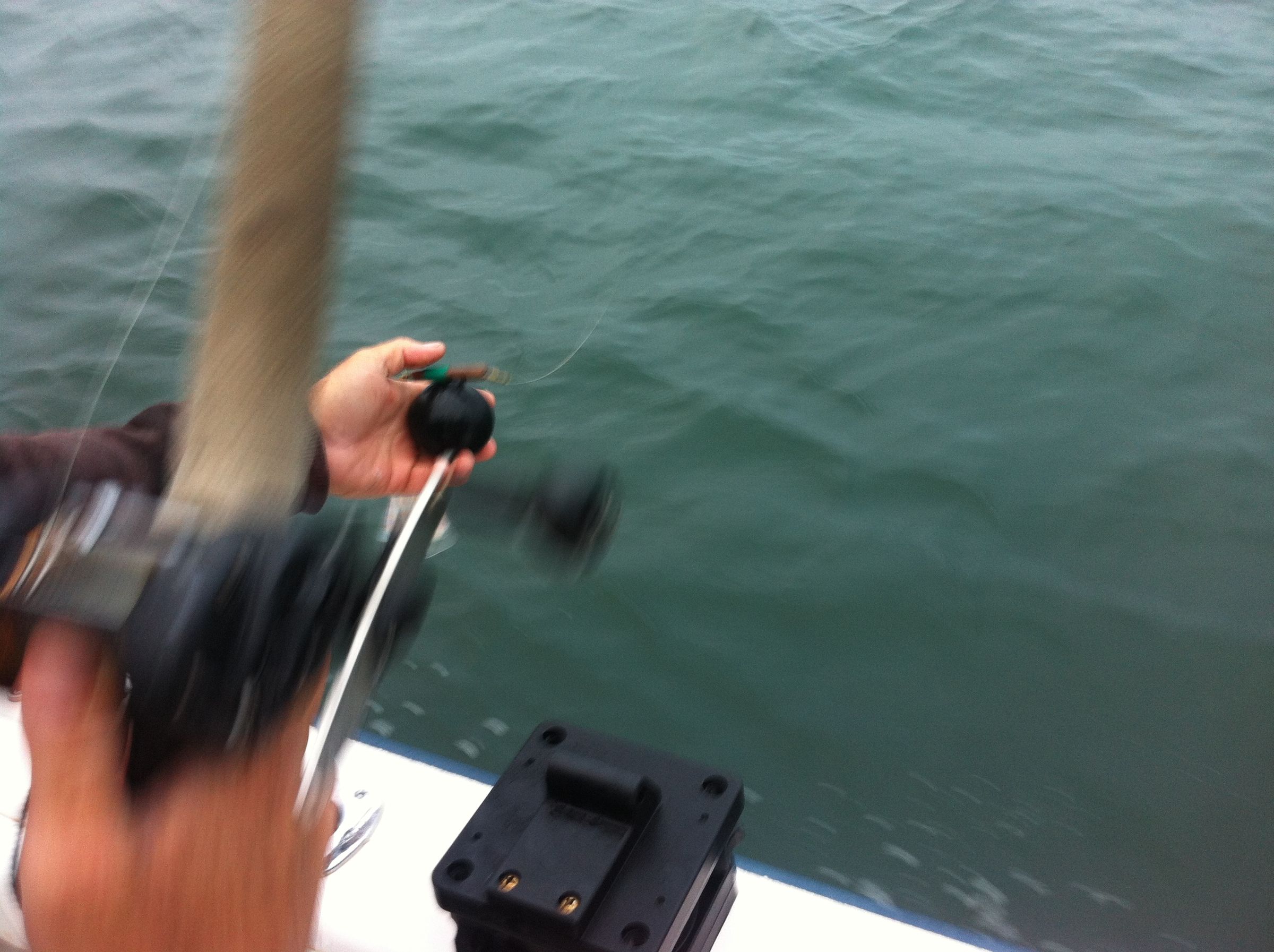 How to Catch a King Salmon : 5 Steps - Instructables