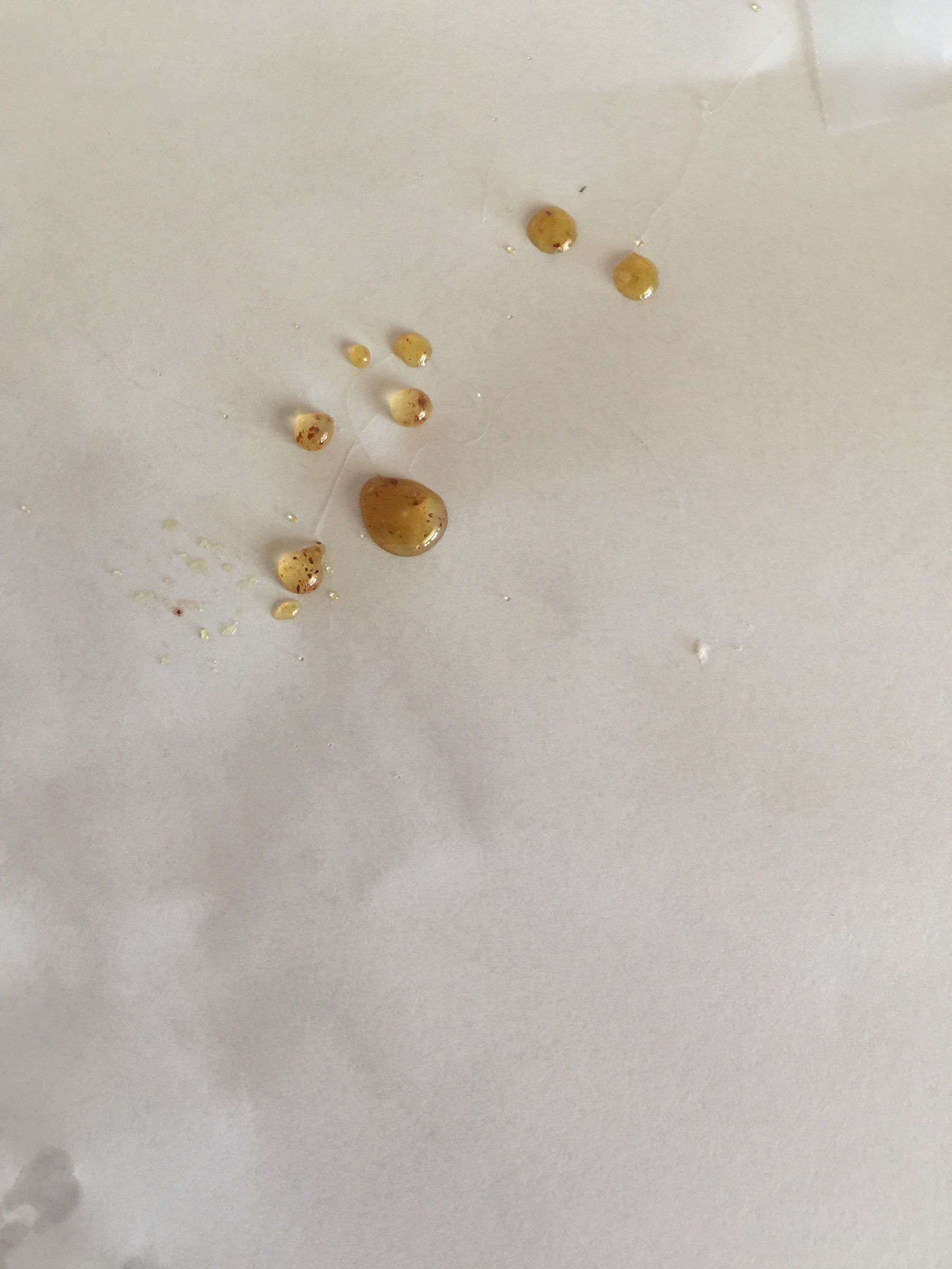 Tree Sap Glue for a Glue Gun : 6 Steps (with Pictures) - Instructables