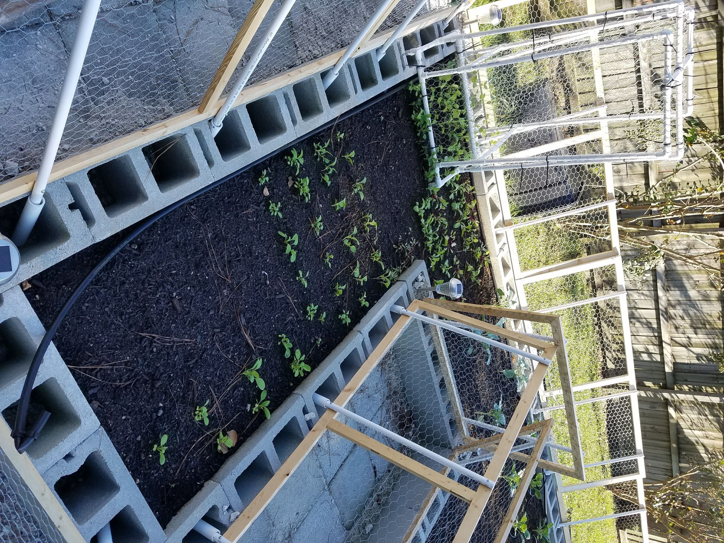 Build a Concrete Block Garden for Food and Memories : 10 Steps (with ...