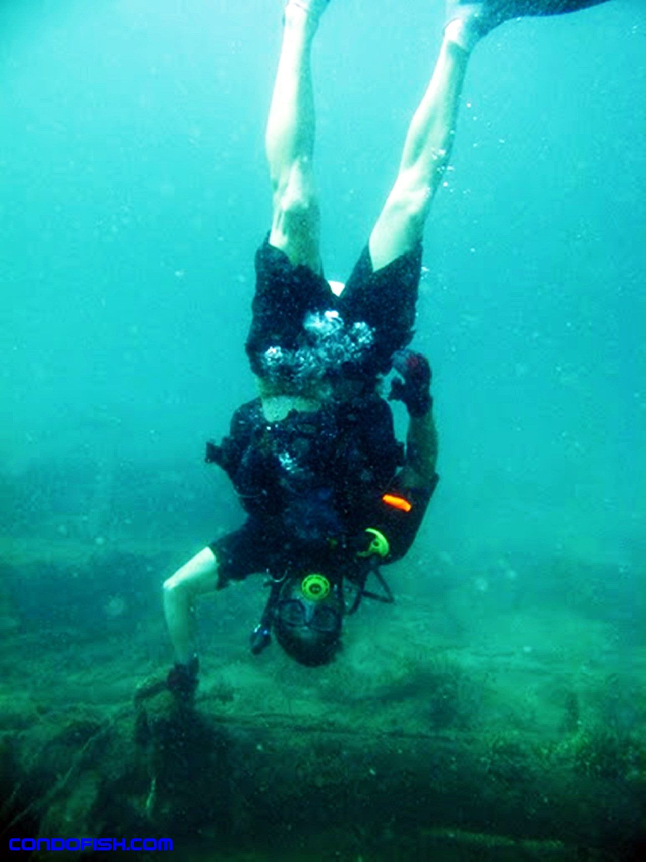 Build an Artificial Reef : 8 Steps (with Pictures) - Instructables