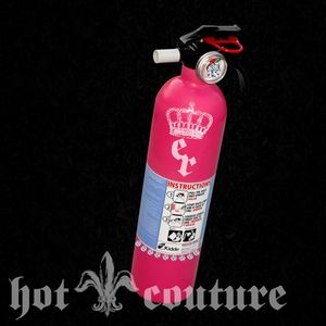 Paint Her Fire Extinguisher Pink! (or Any Other Color...) : 6 Steps ...