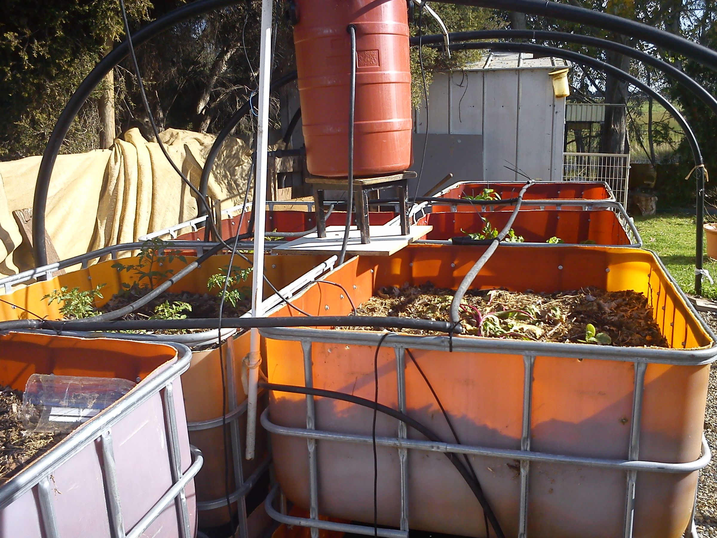 Vermiponic Garden : 12 Steps (with Pictures) - Instructables