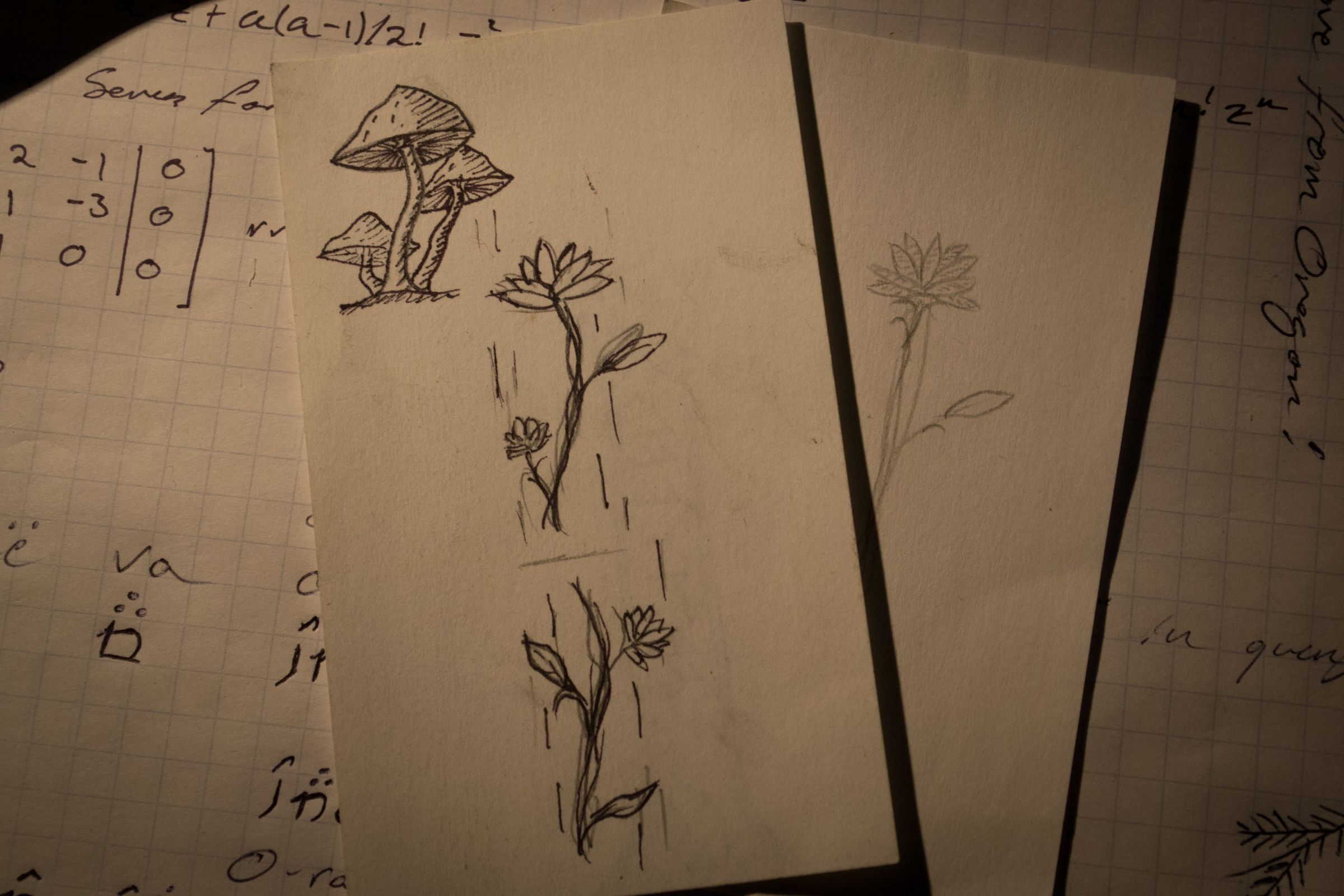 A Beginner's Guide to Kolrosing, by a Beginner. : 7 Steps (with ...