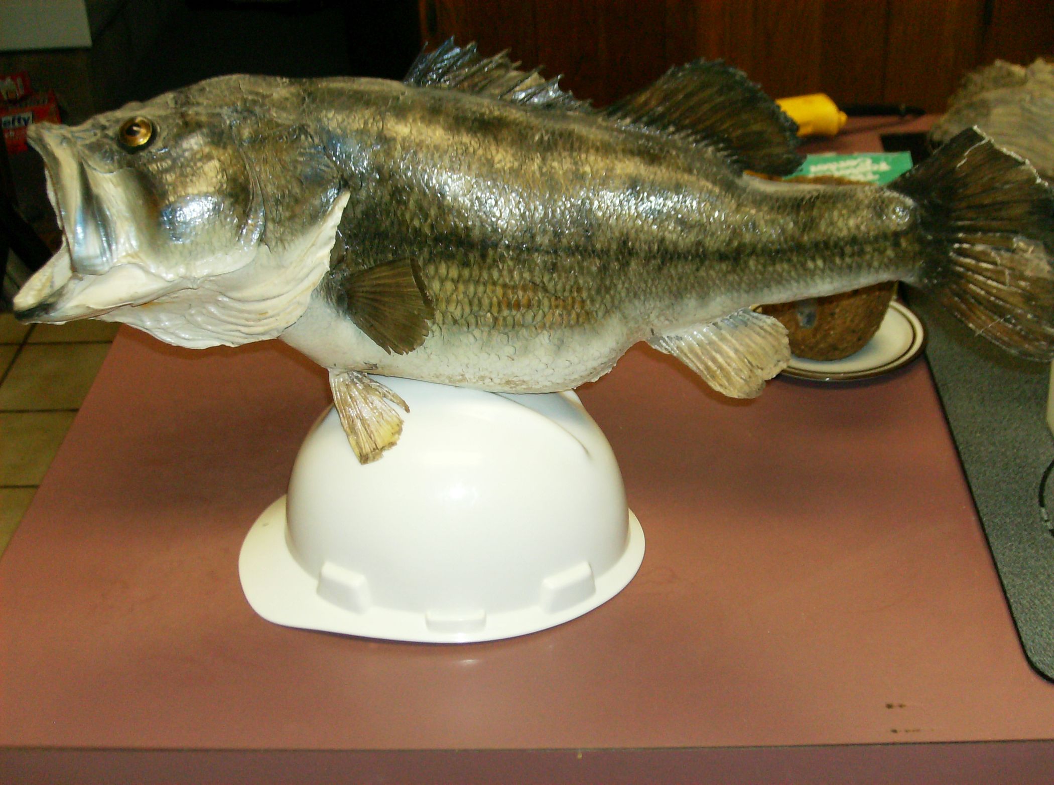 The Taxidermied Fish Helmet! : 5 Steps (with Pictures) - Instructables