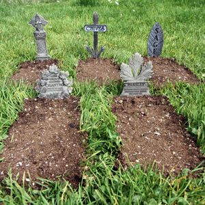 Herb Graveyard : 10 Steps (with Pictures) - Instructables